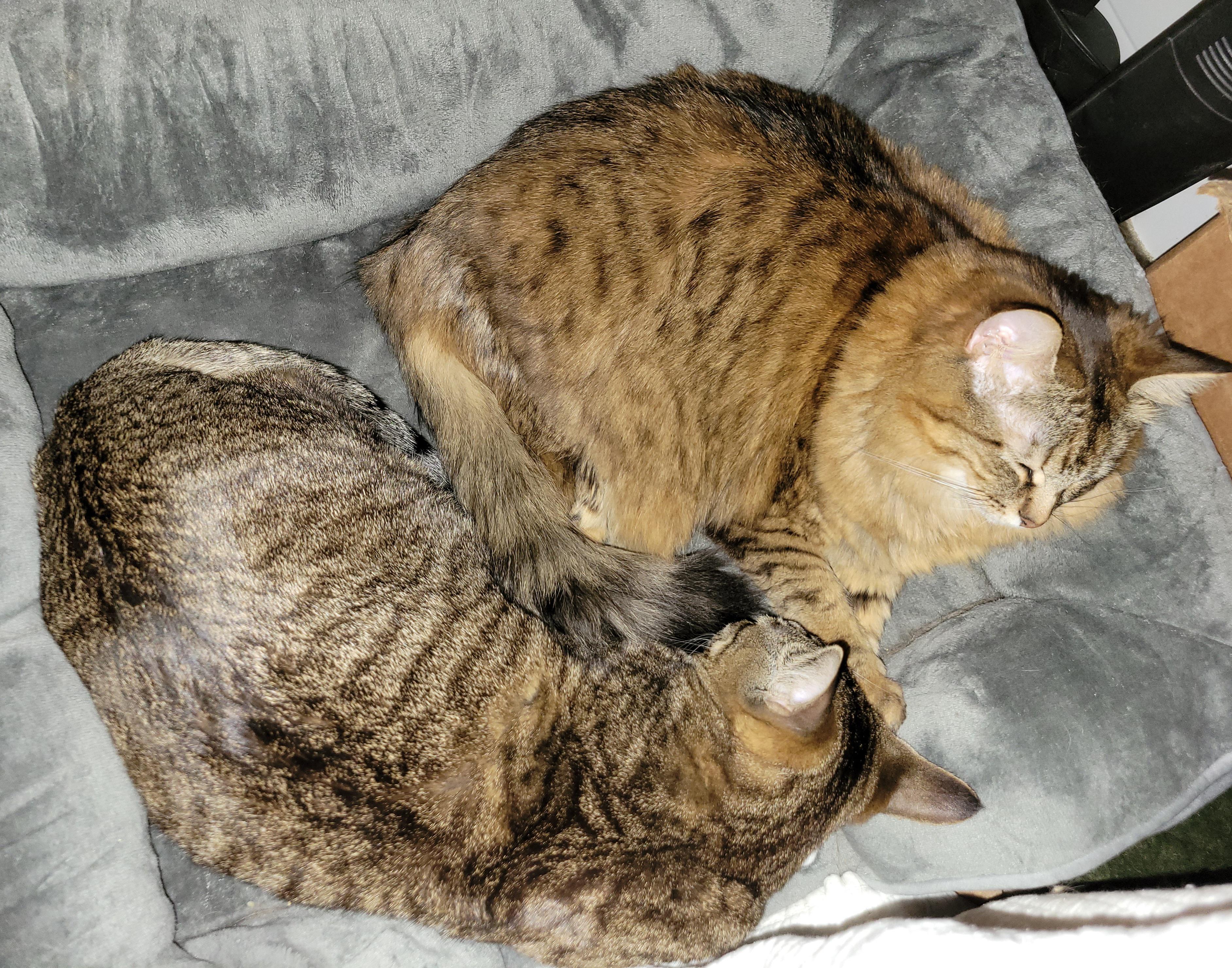 Grand Central Station | Scrolller