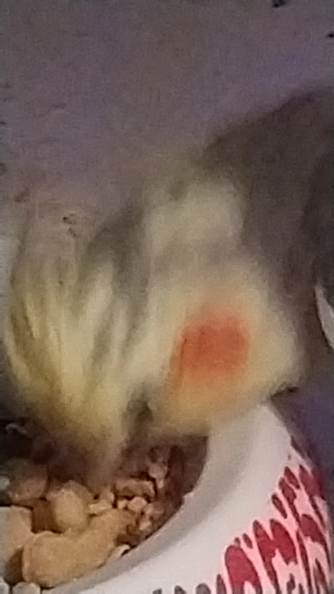 Little stink. | Scrolller