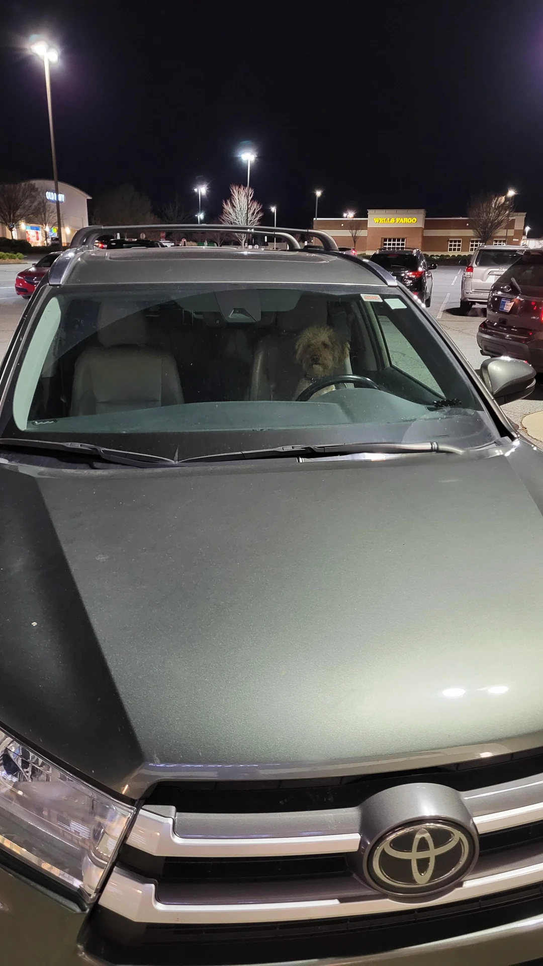 Unexpected driver at Chipotle | Scrolller