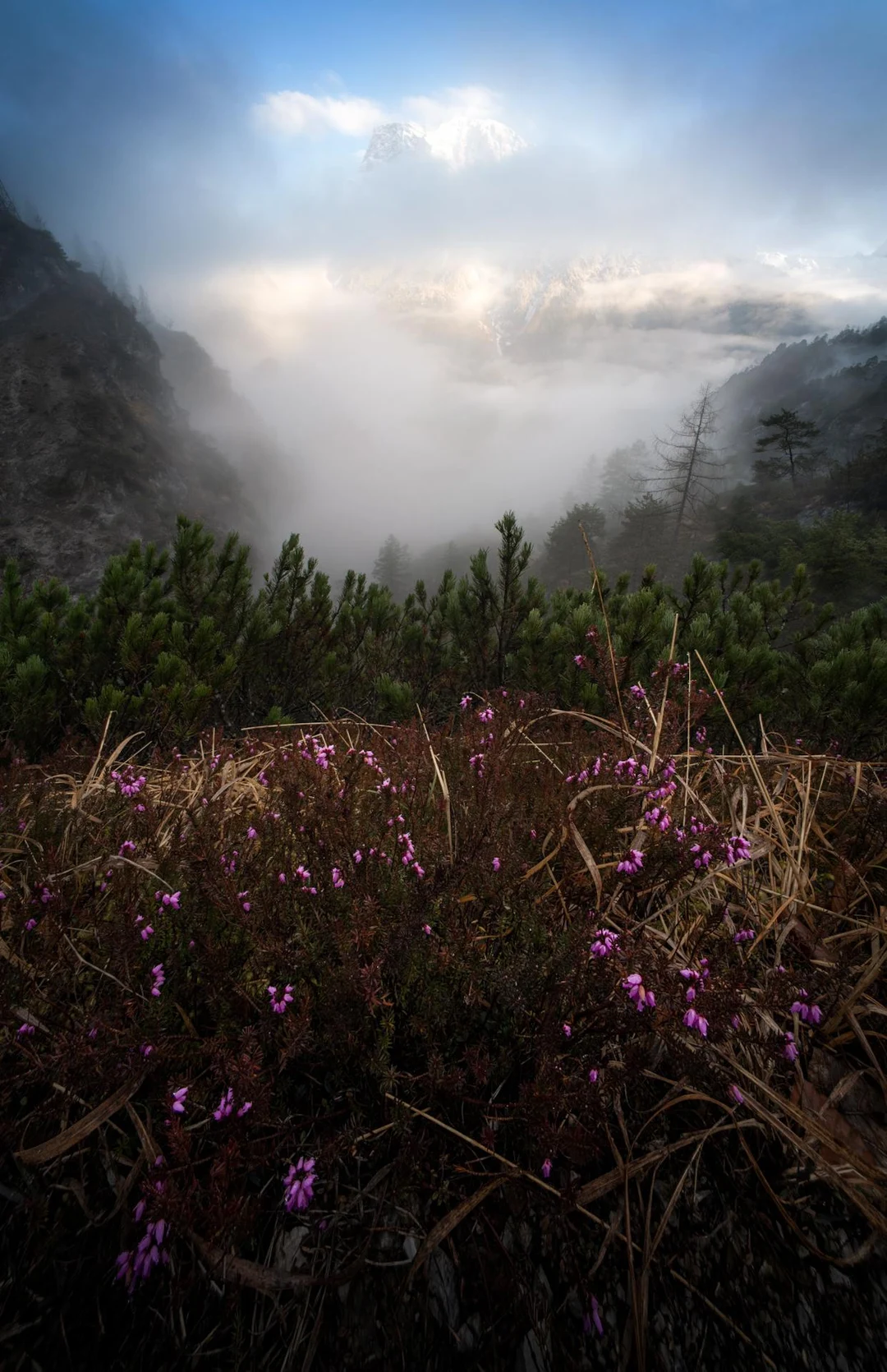 a misty morning in the Austrian Alps [1920x1242, OC] | Scrolller
