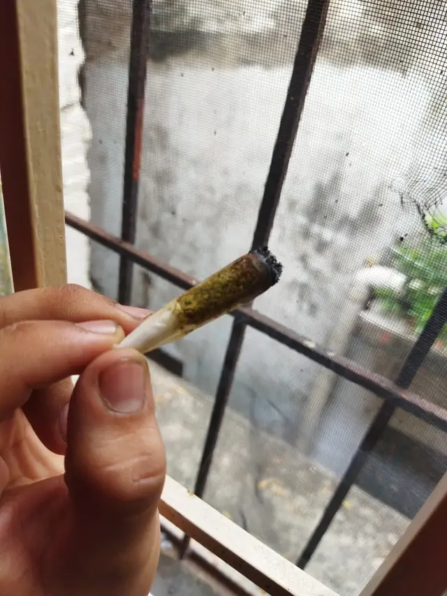 I'd like to share my best joint ever | Scrolller