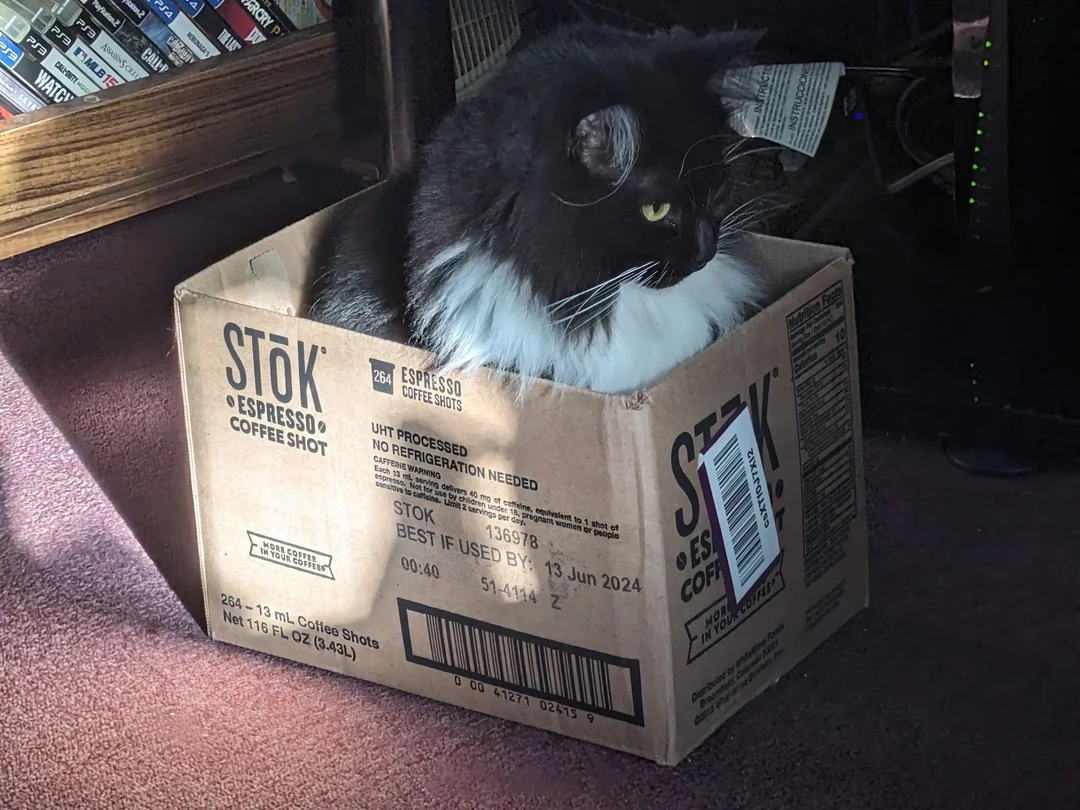 Princess GrandpaFace is contemplating life. | Scrolller