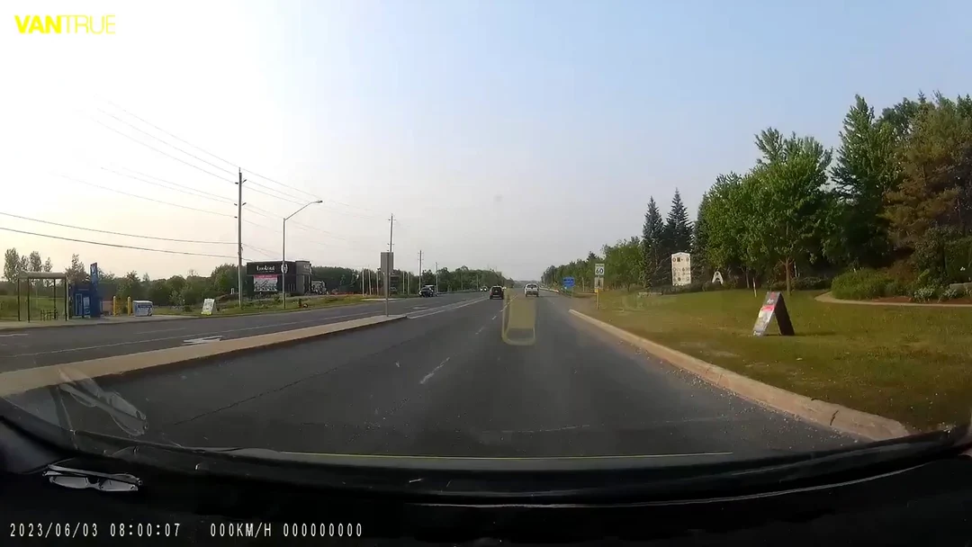 Egged by a bird? | Scrolller