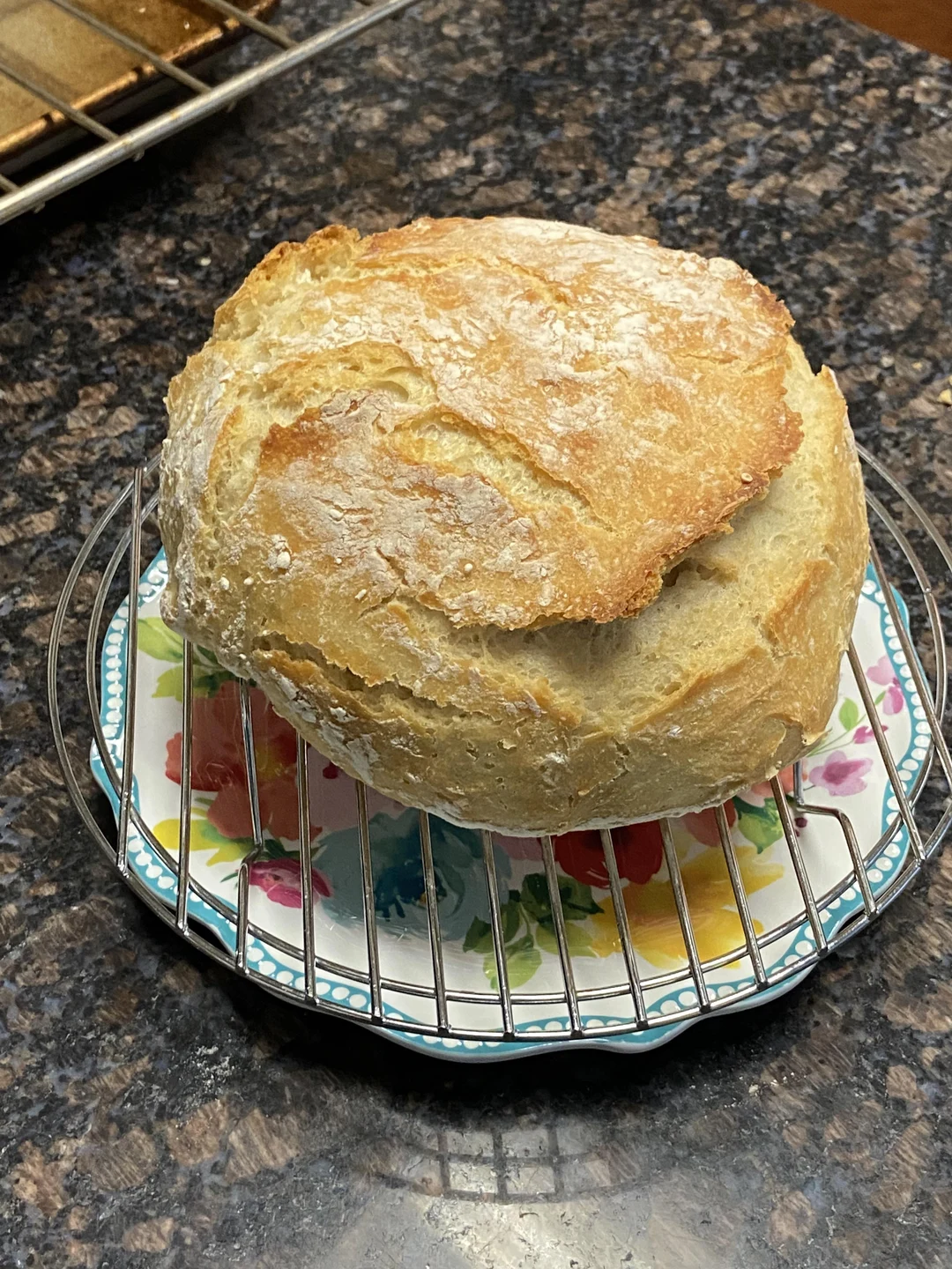 My first successful loaf of bread | Scrolller