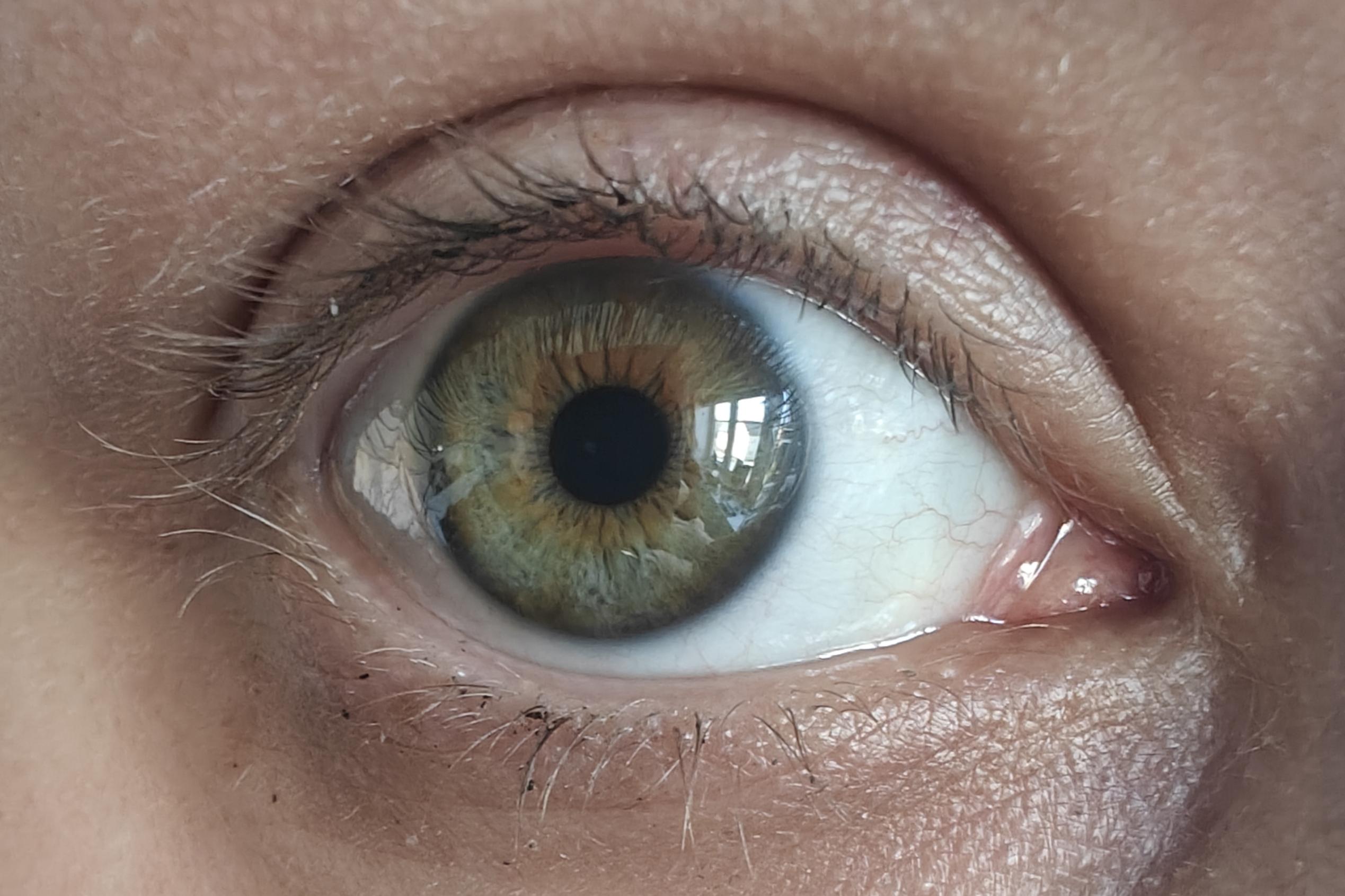 Green or hazel? | Scrolller