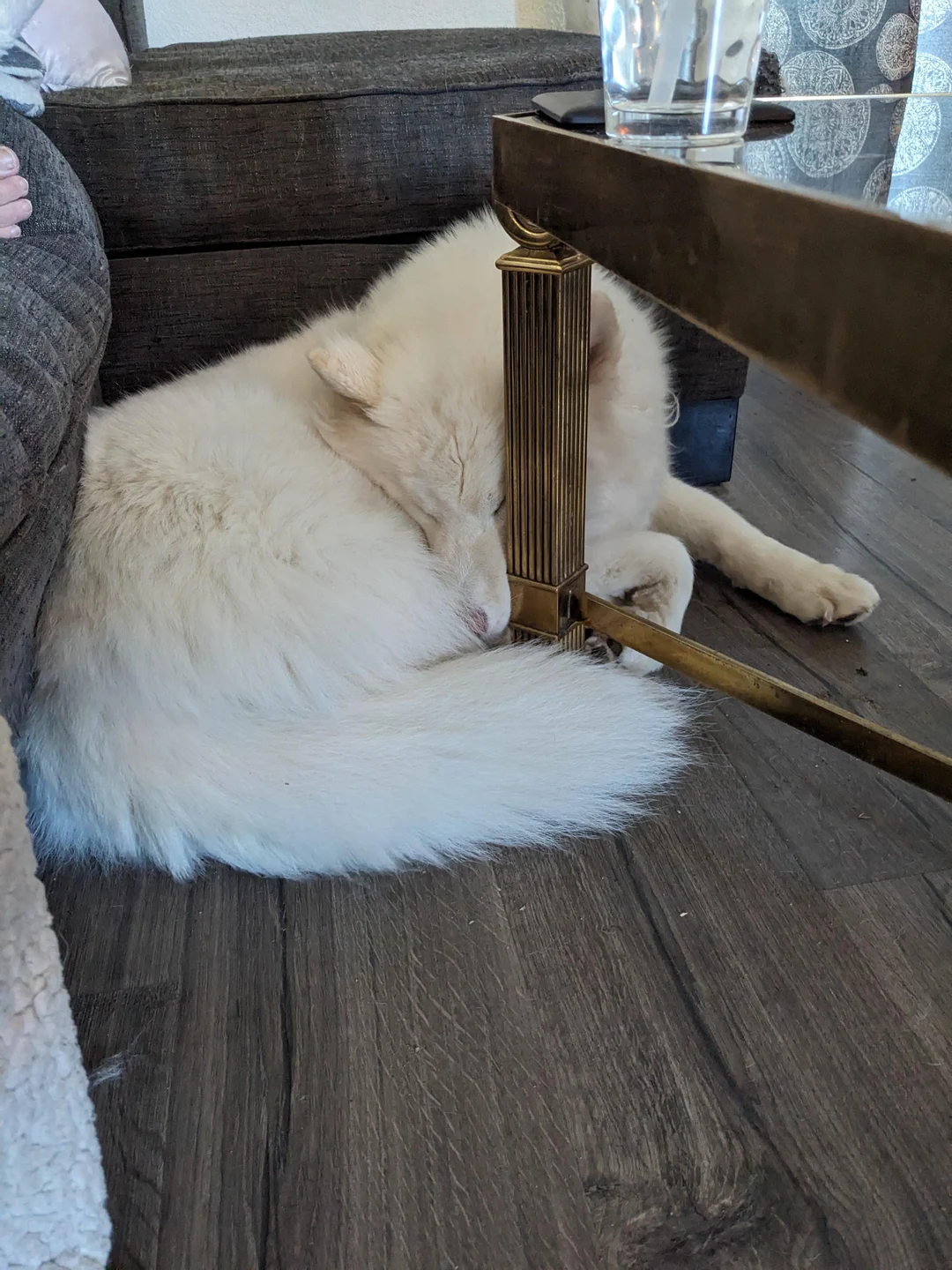 Redefining Comfort | Scrolller