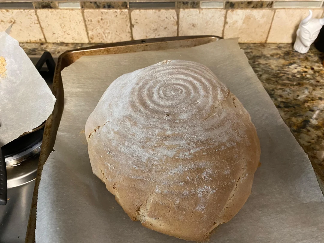 First time using a banneton with sour dough | Scrolller