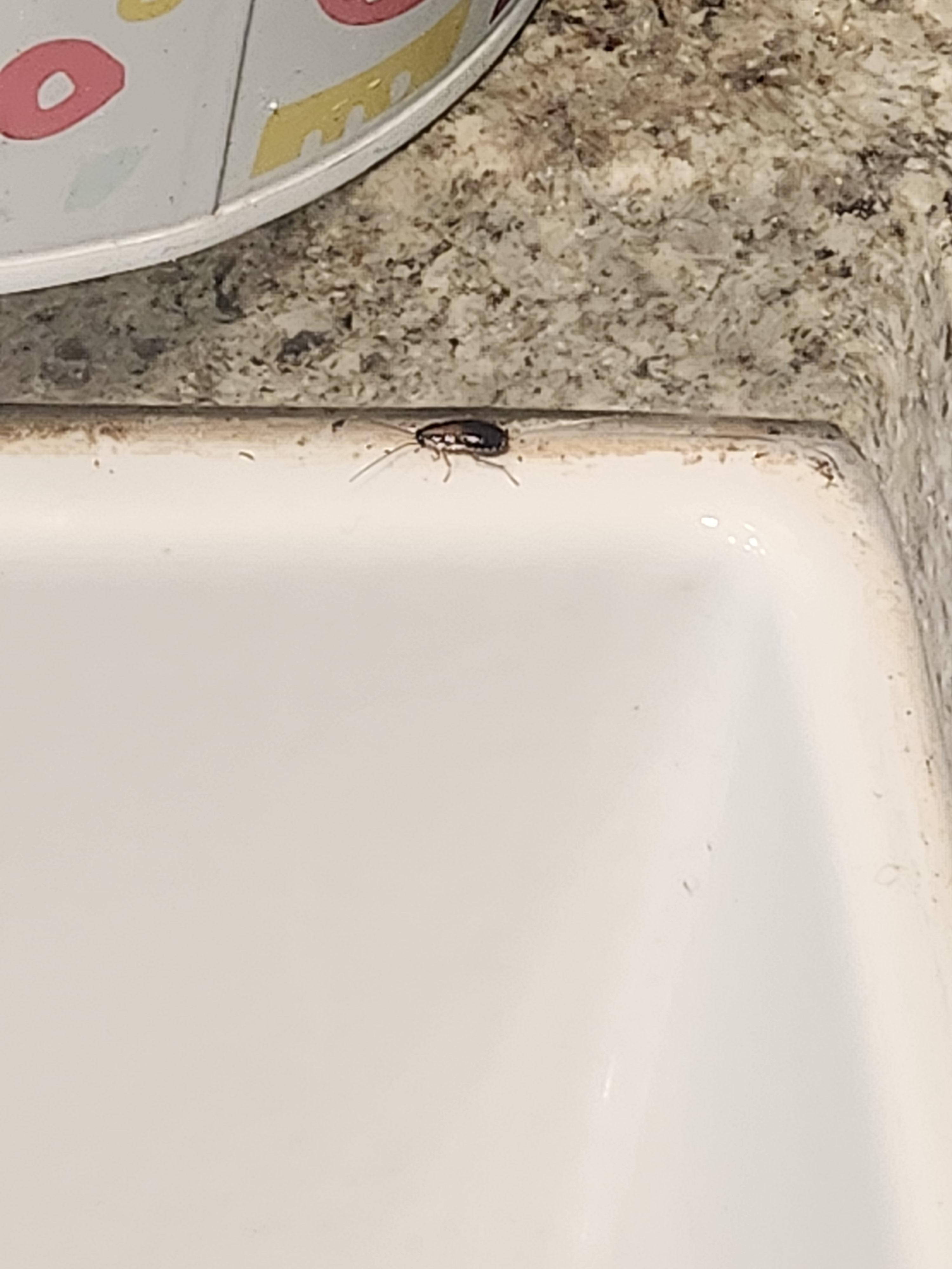 Help identifying | Scrolller