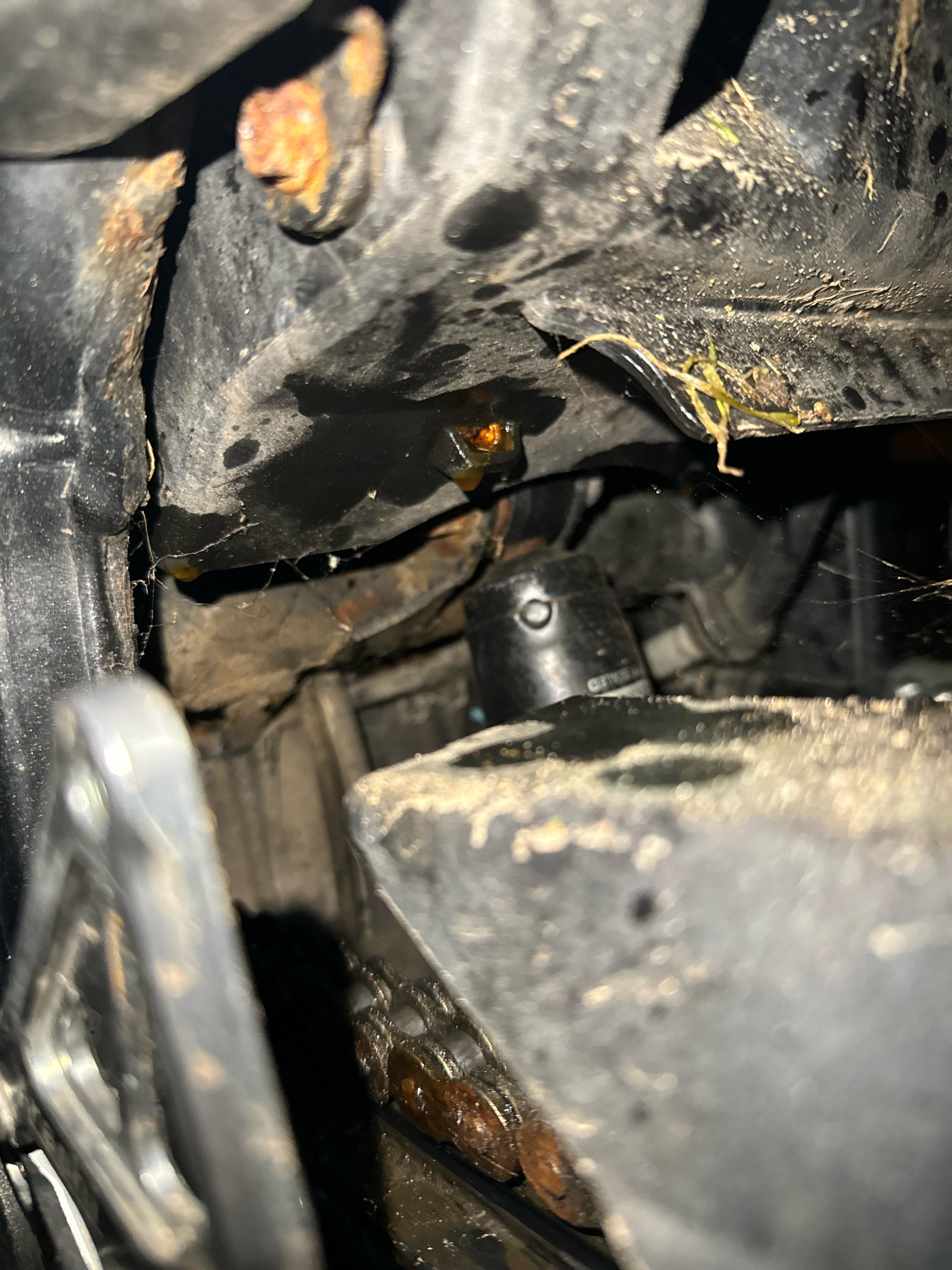 What’s this leaking | Scrolller