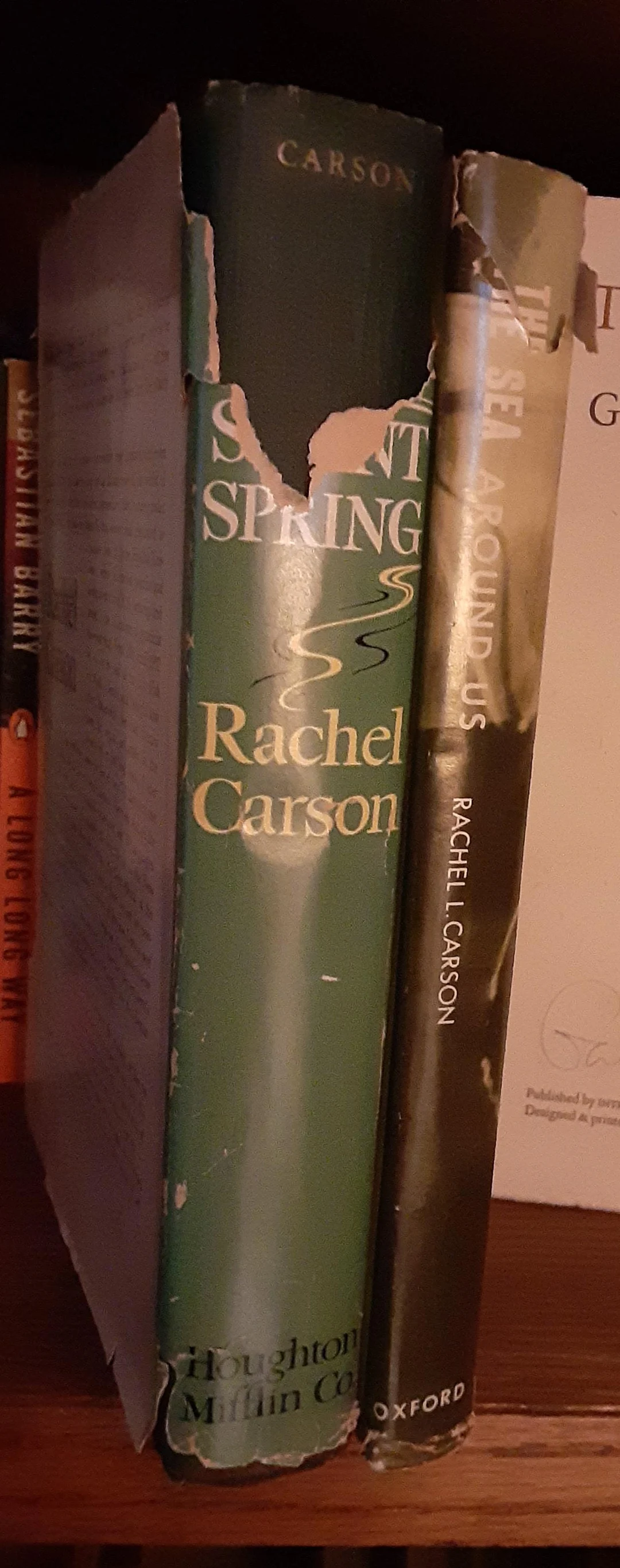 First editions finds: Rachel Carson. | Scrolller