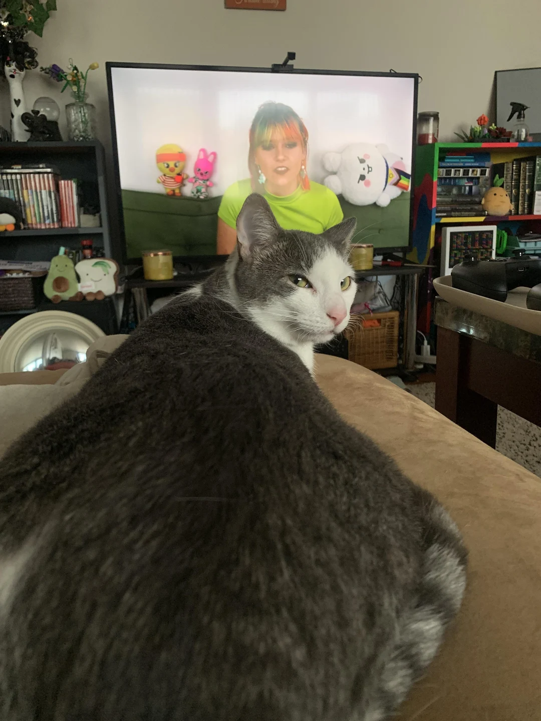 Backwards loaf | Scrolller