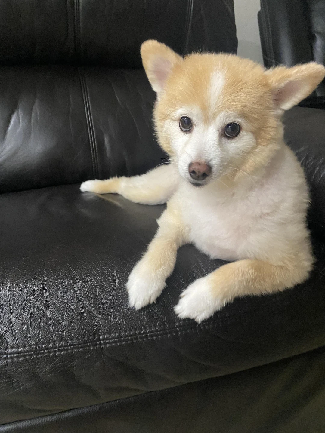 forever young | Scrolller