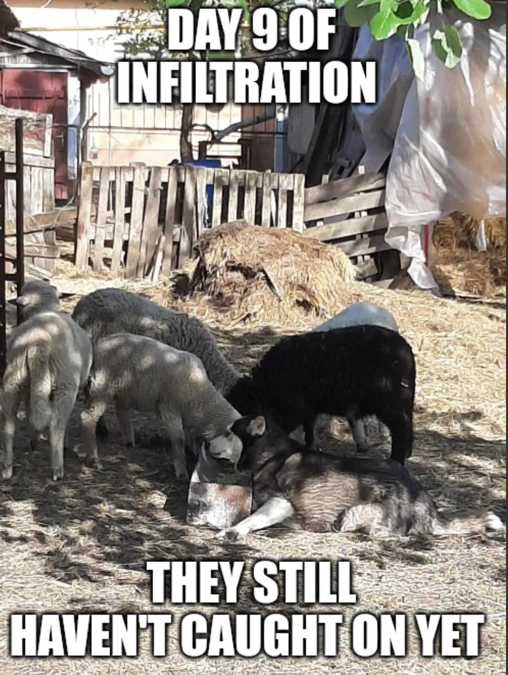 Special agent on a field trip | Scrolller