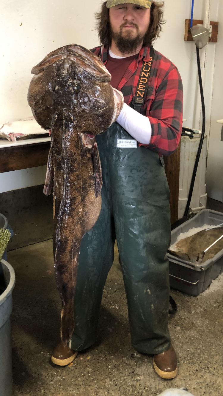 Fish sticks | Scrolller