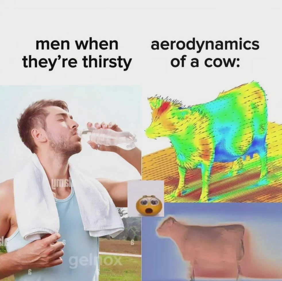 Men and aerodynamics of cow | Scrolller