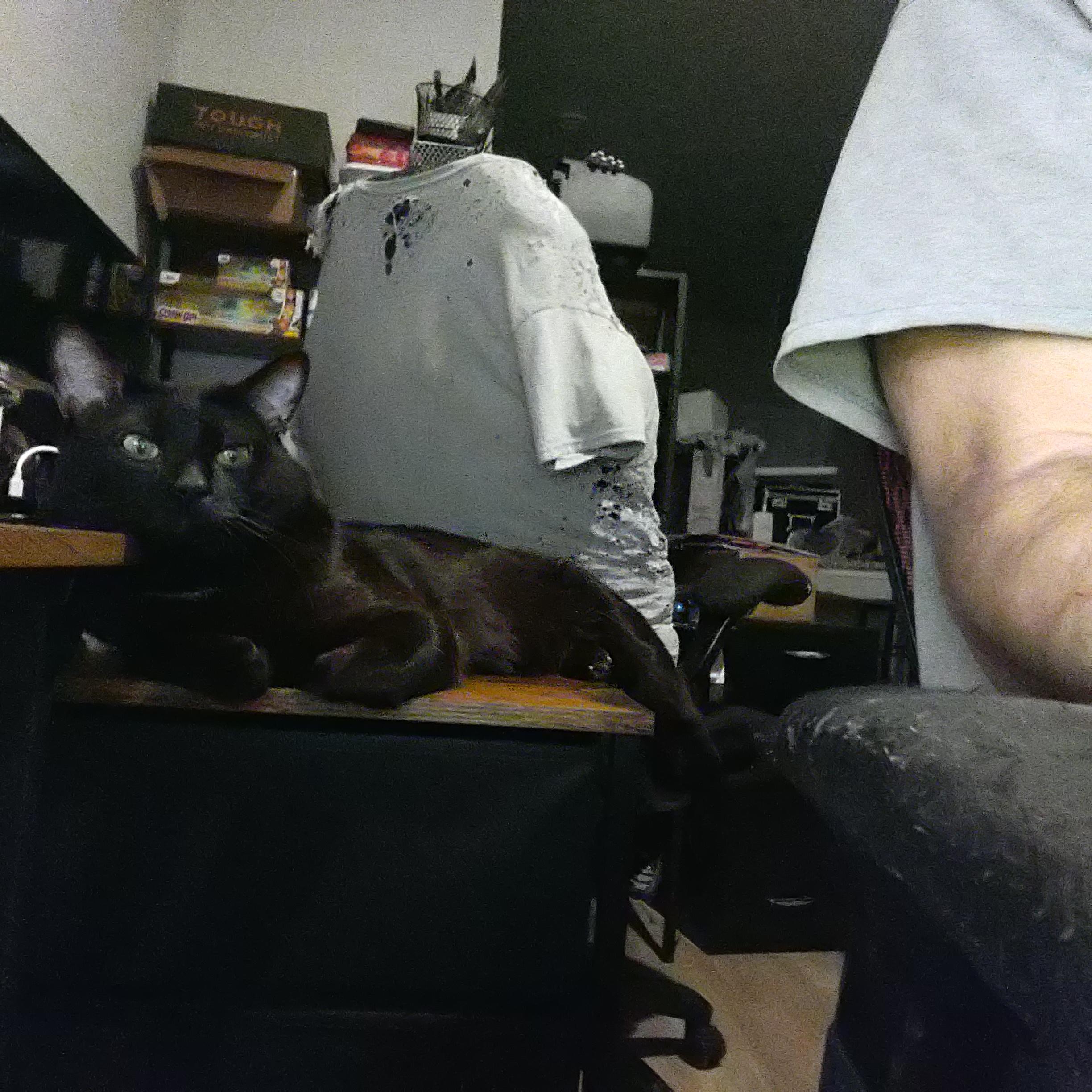 My WFH Void | Scrolller