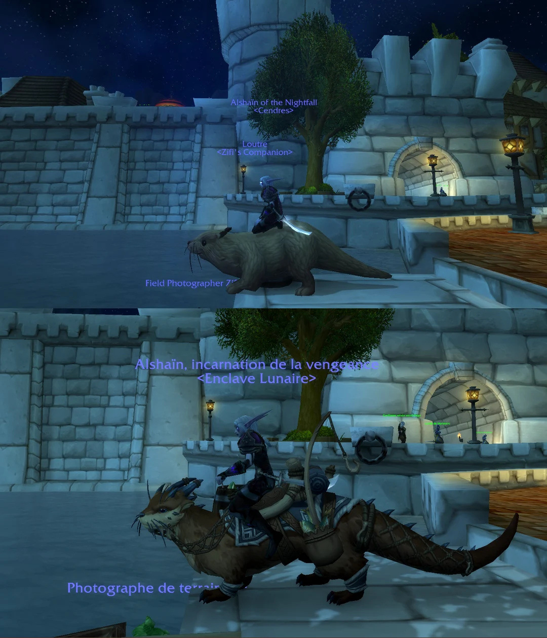 6 years ago, i made my first reddit post, dreaming about an otter mount. And now my dream came ...
