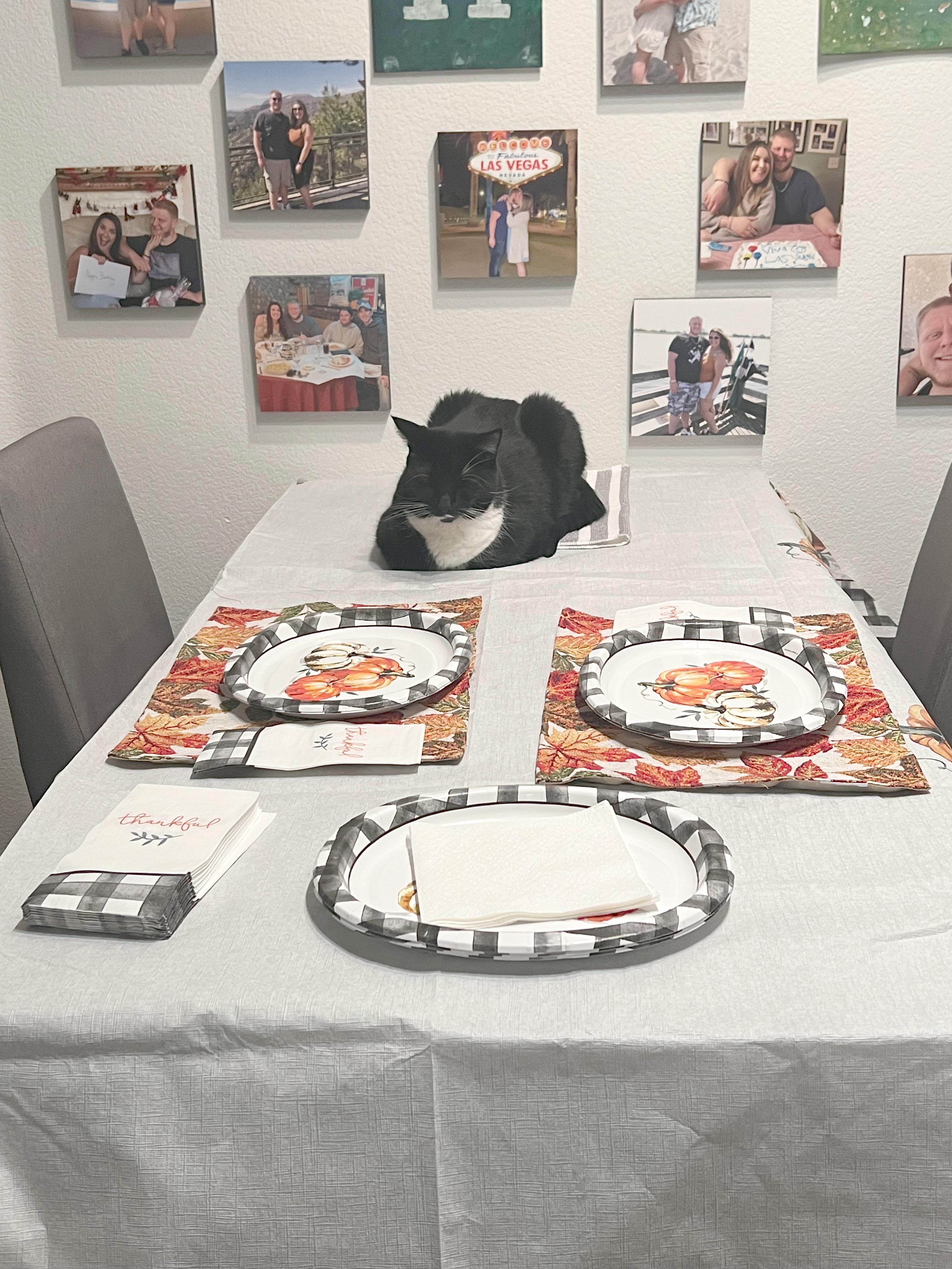 Turkey Cosplay | Scrolller