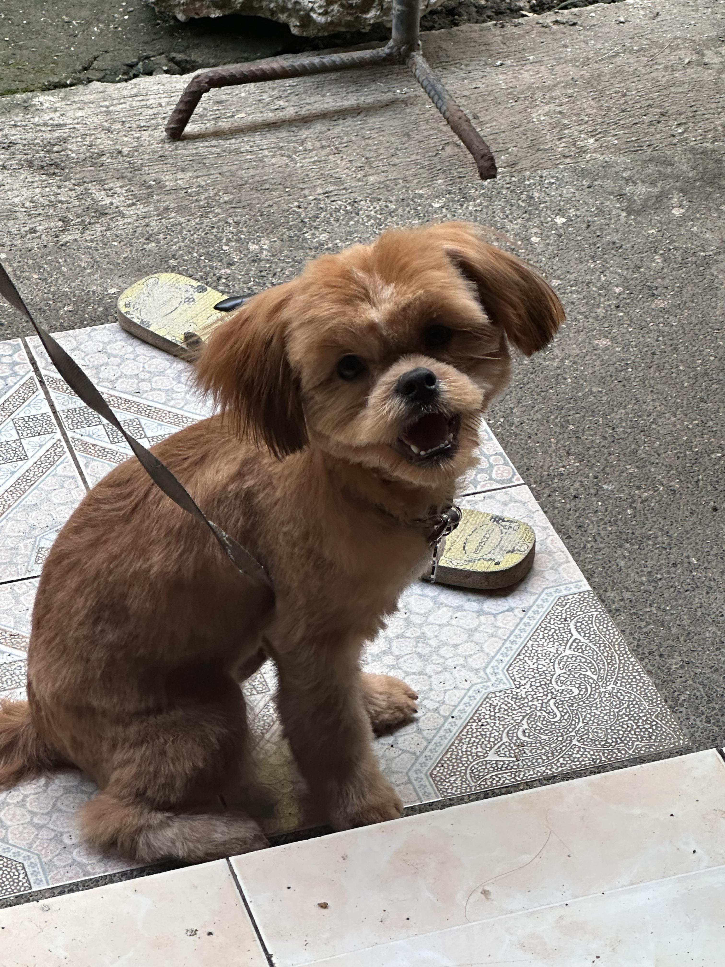 Grooming season. | Scrolller