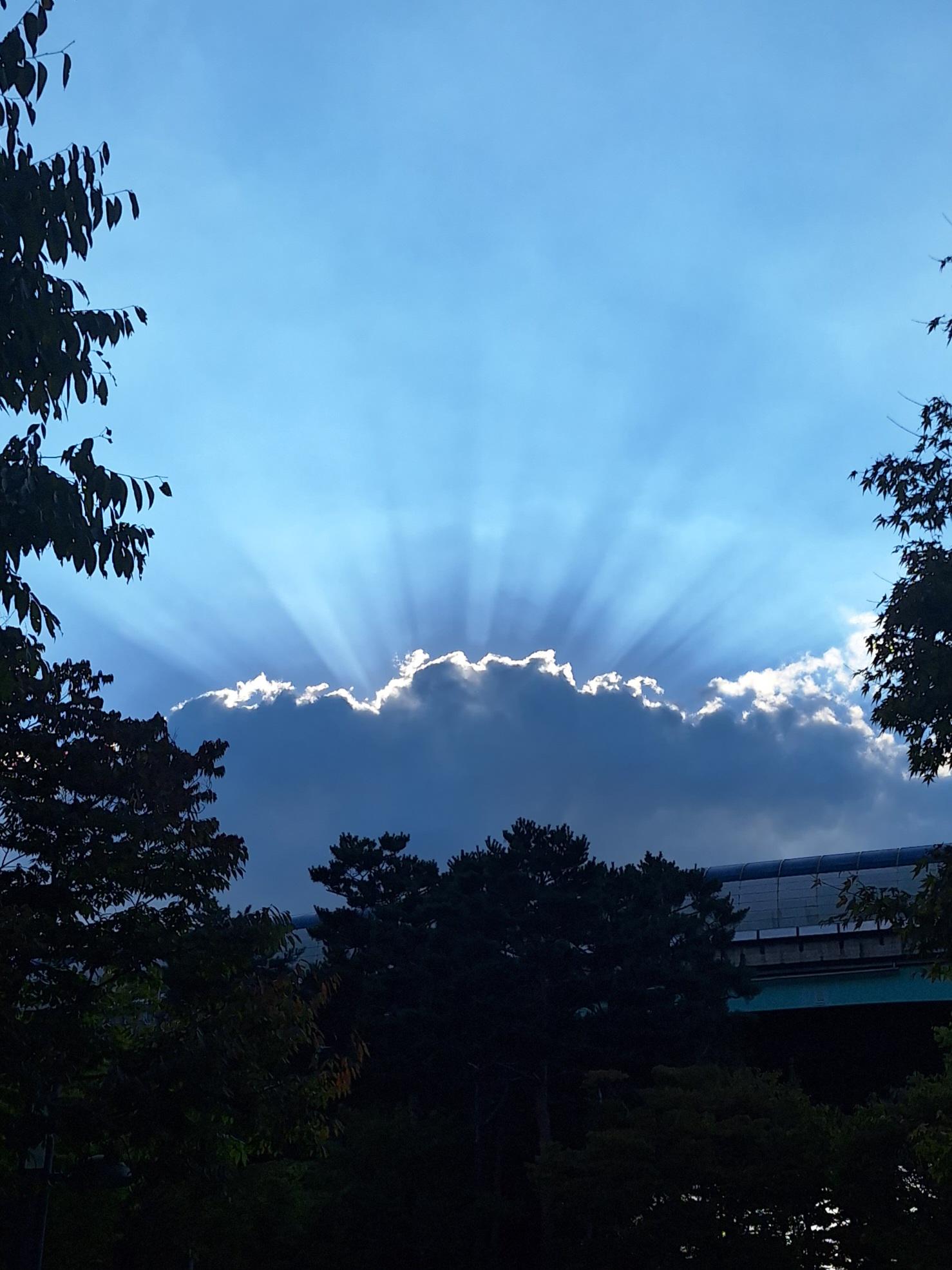 How do I unlock this item | Scrolller