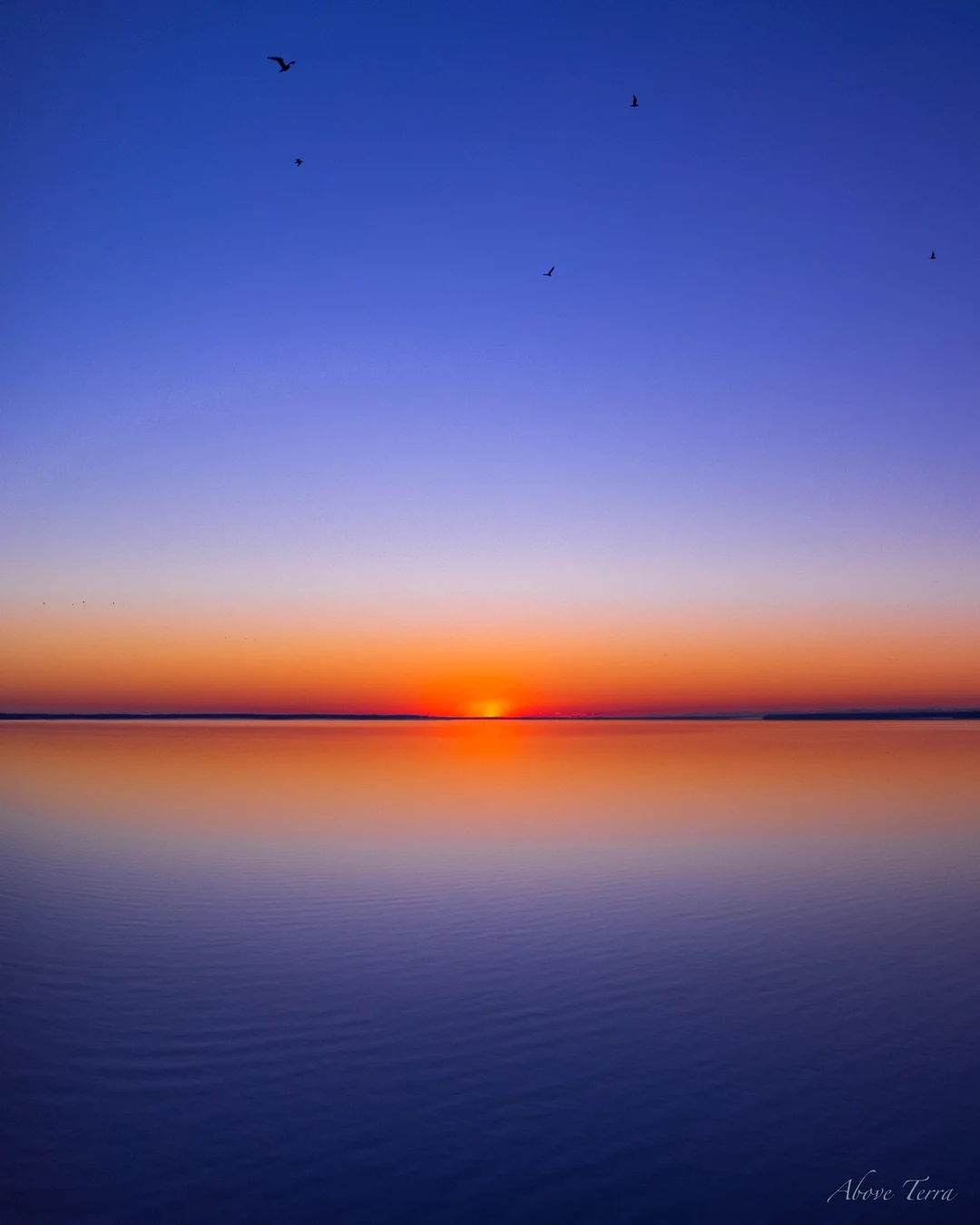 Sunrise over the Neuse River - Eastern NC | Scrolller
