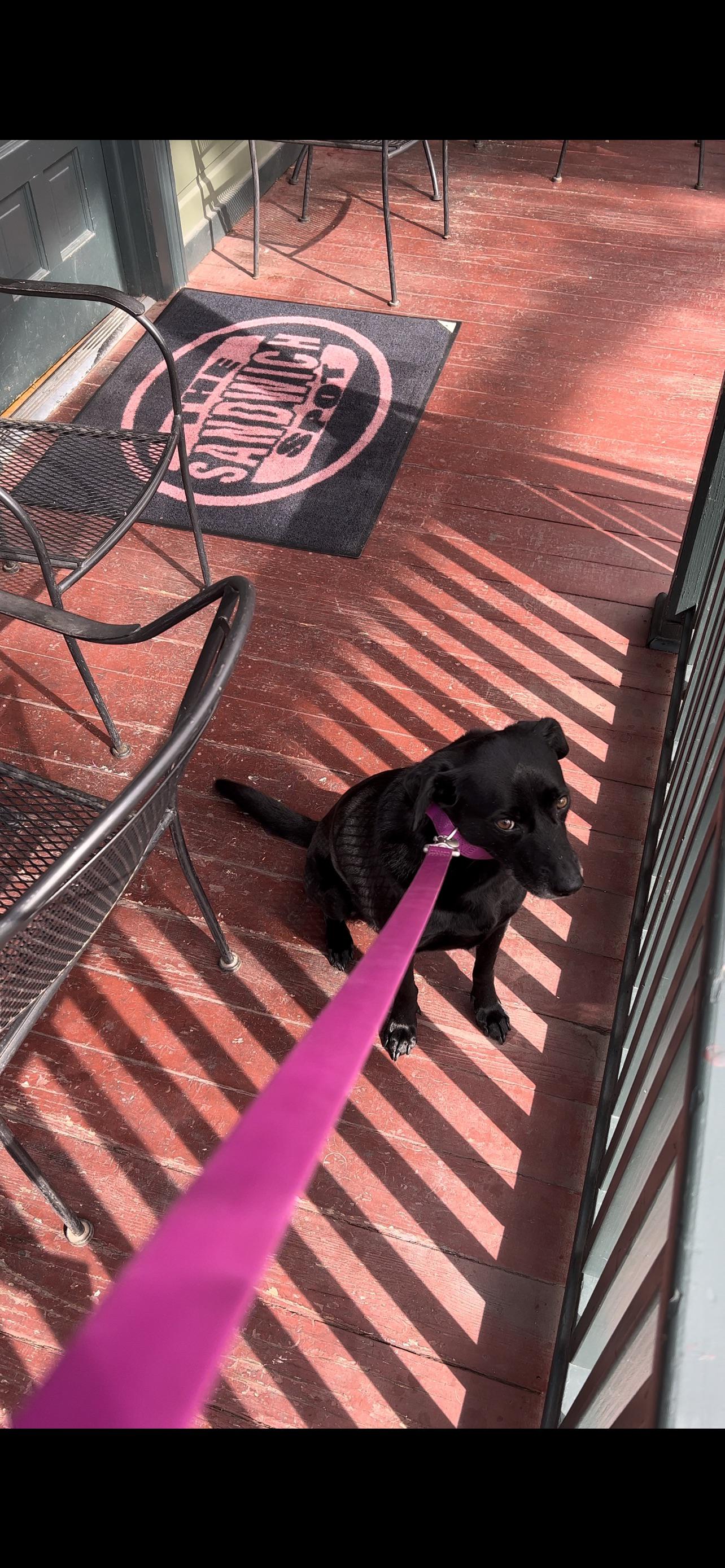 Light the beam!! | Scrolller