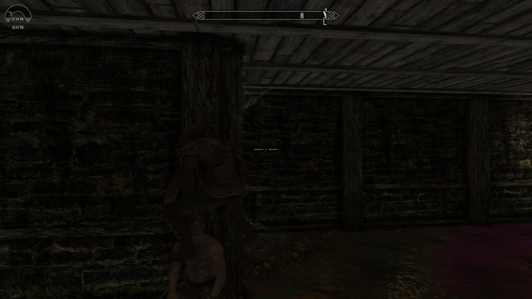 Certified Skyrim sneaking moment | Scrolller