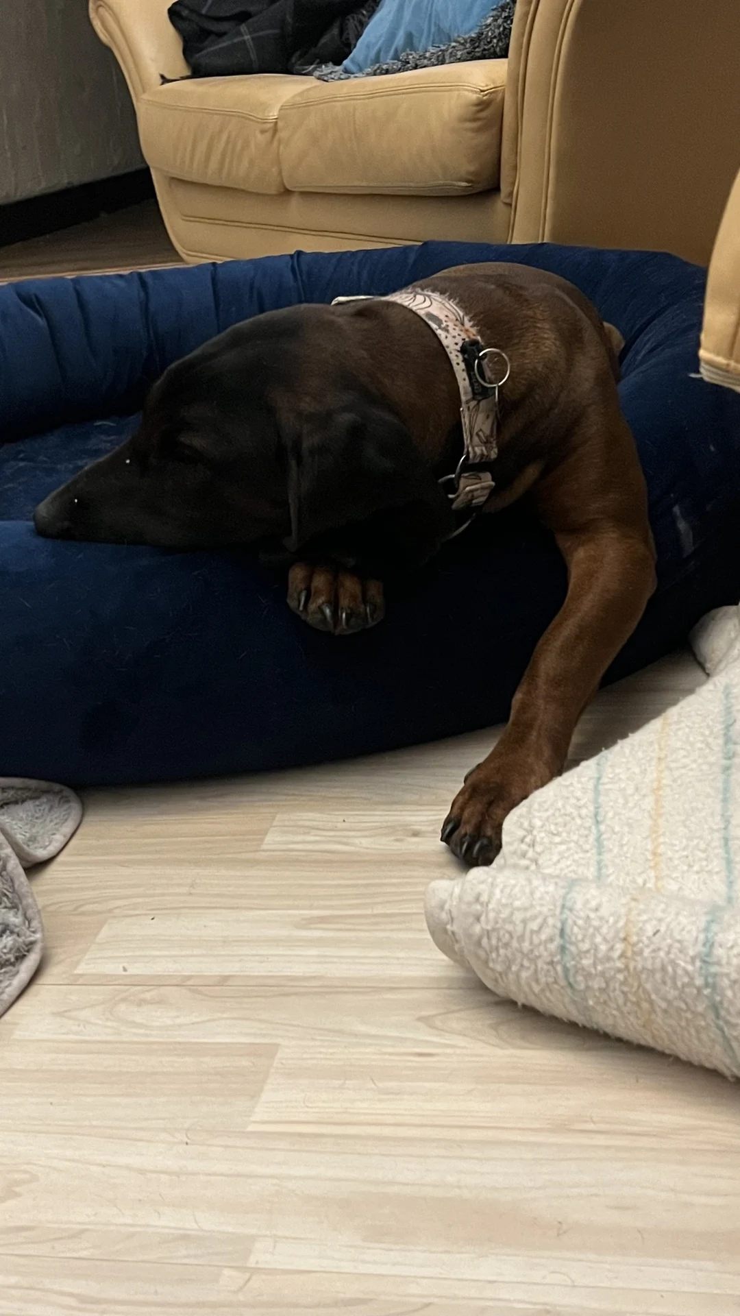 Little muscle flex | Scrolller