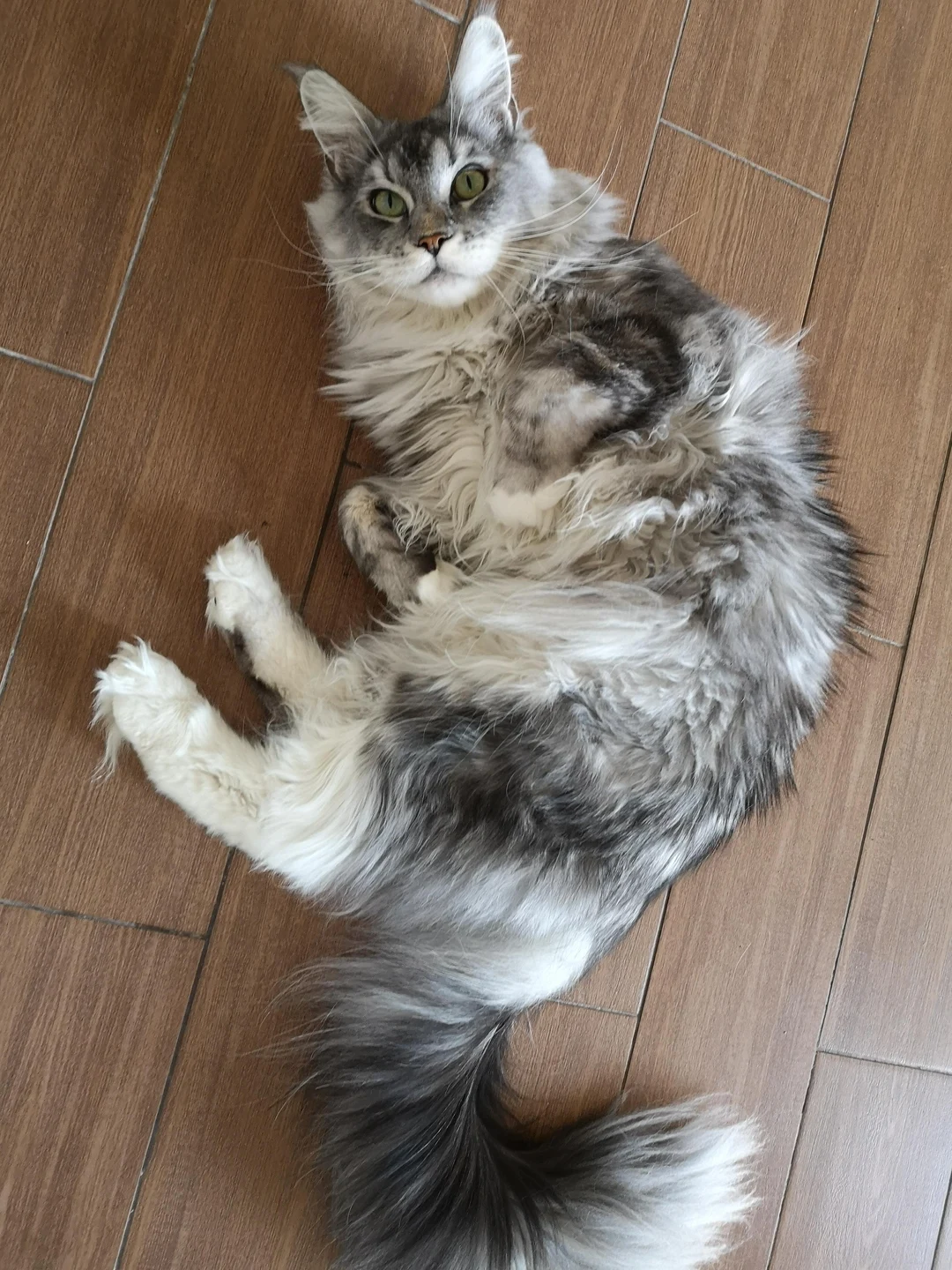 Striking the "feed me" pose | Scrolller