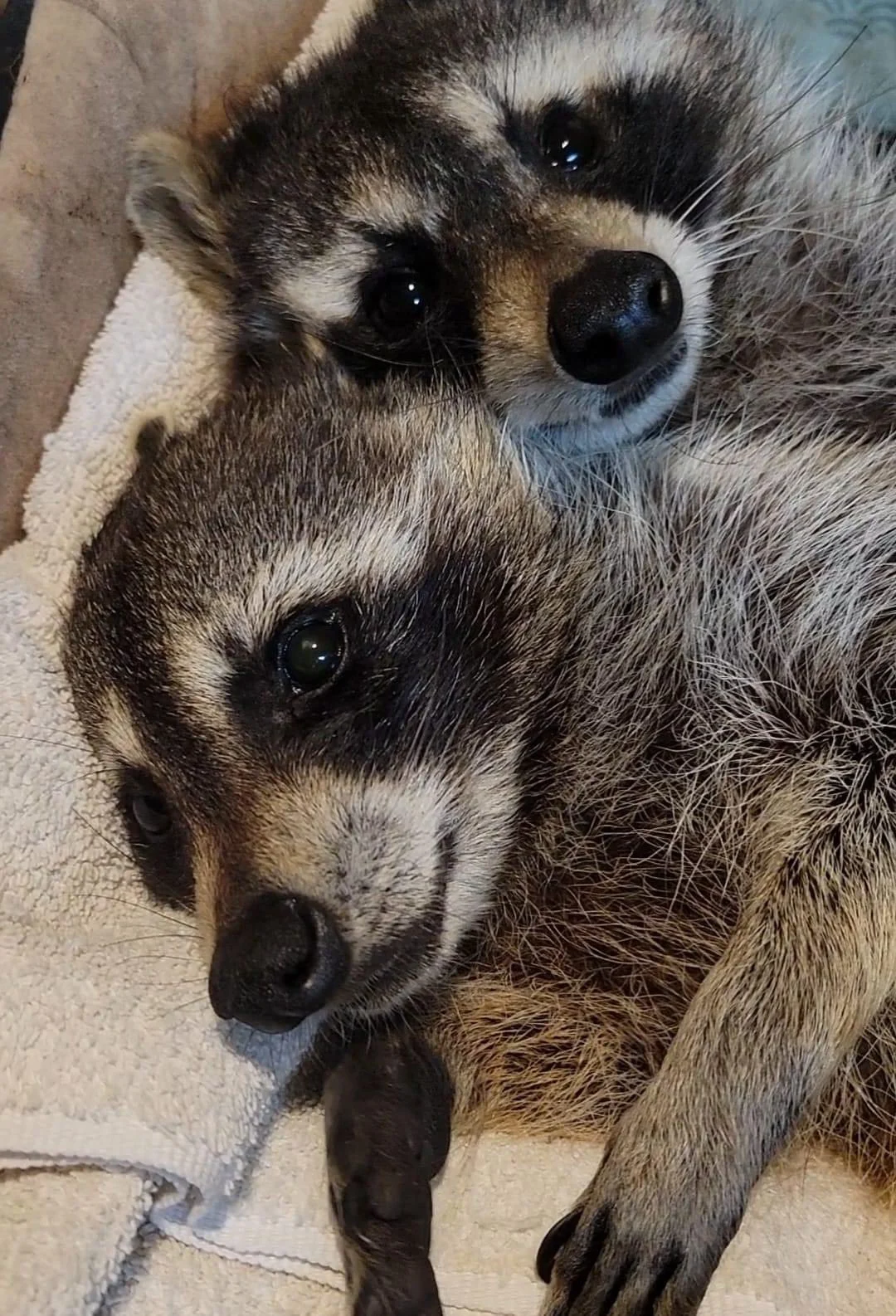 cute couple | Scrolller