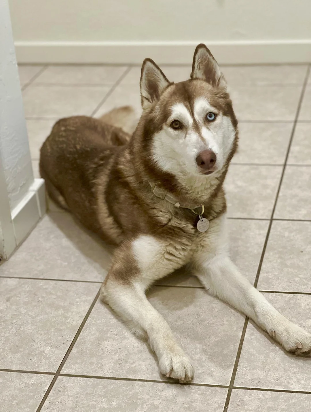 New rescue | Scrolller