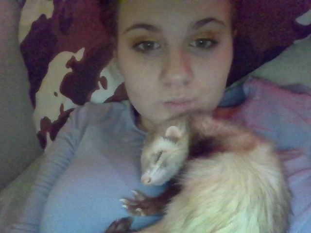 Mr ferret | Scrolller