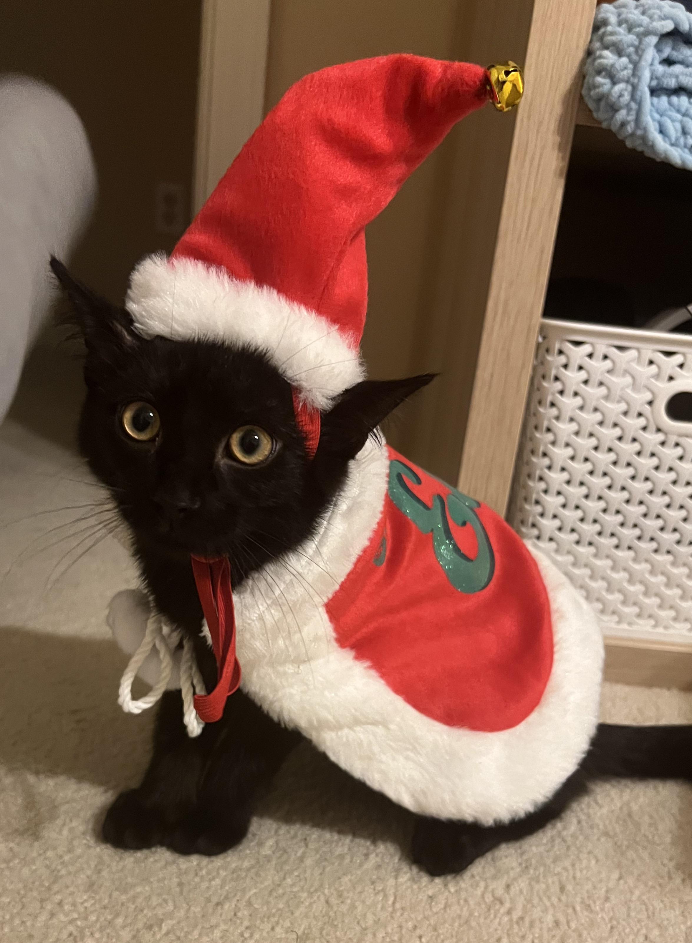 Christmas Void | Scrolller