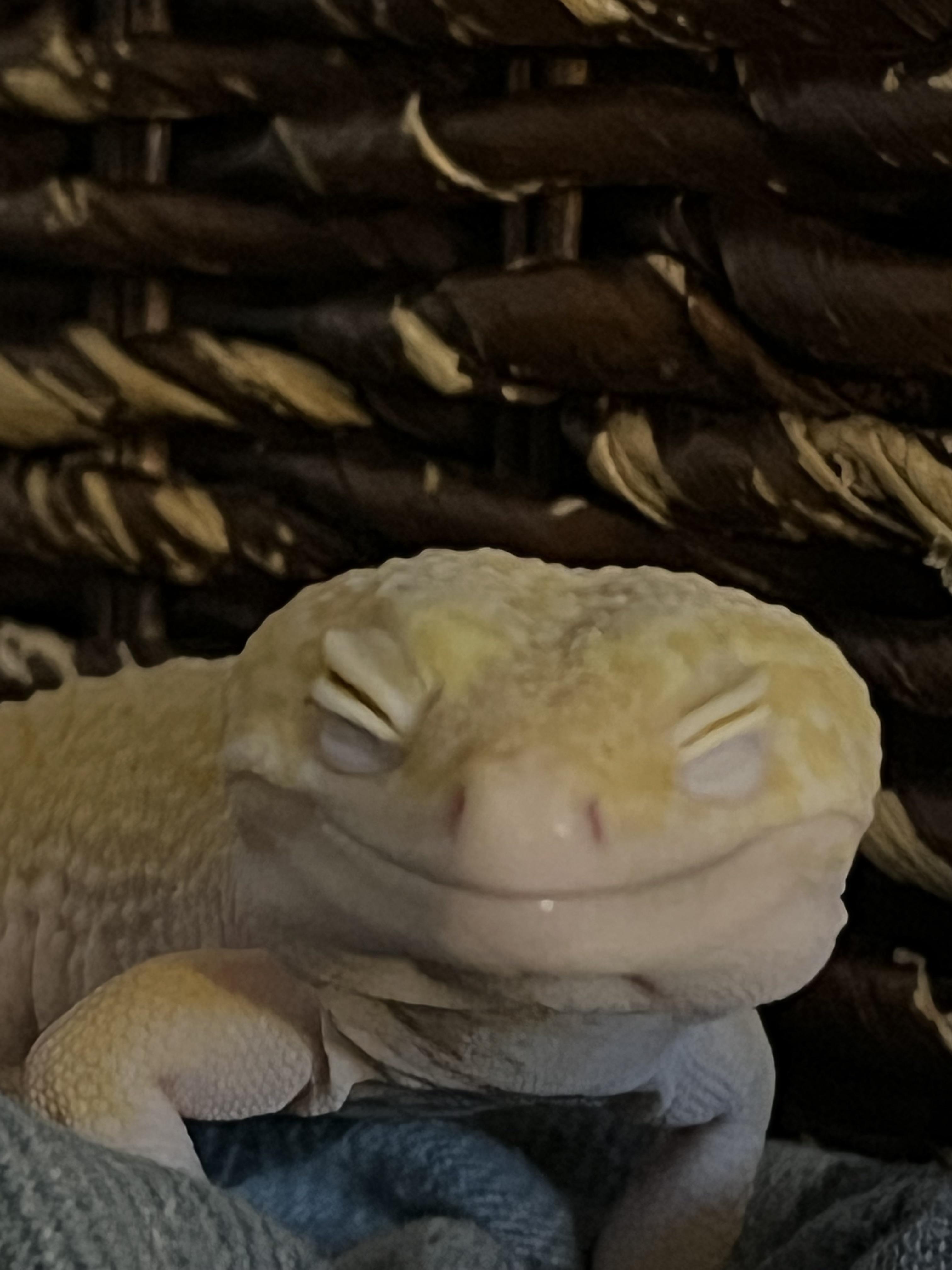 Sheldon pics💛 (again) | Scrolller