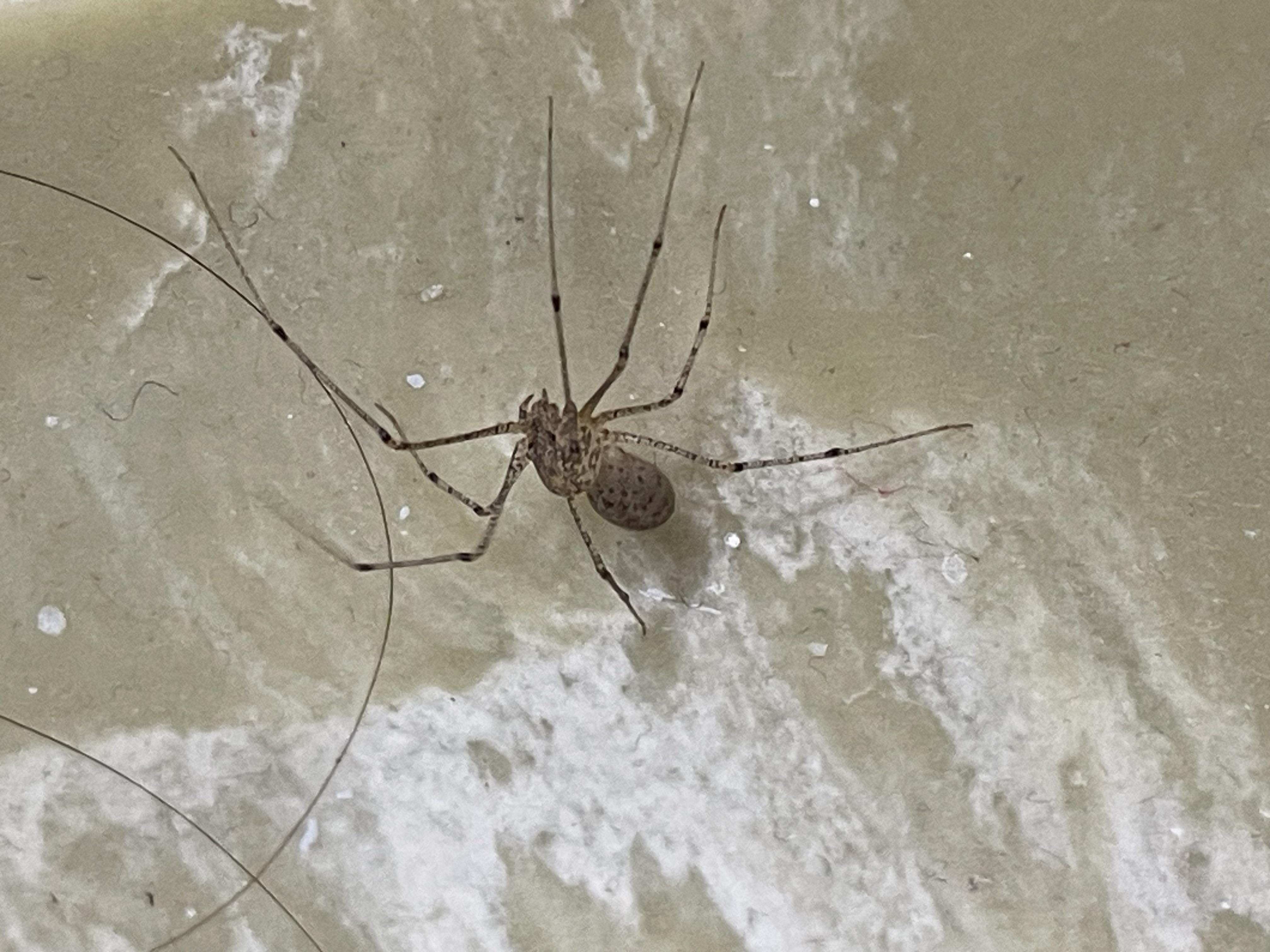 Identify | Scrolller