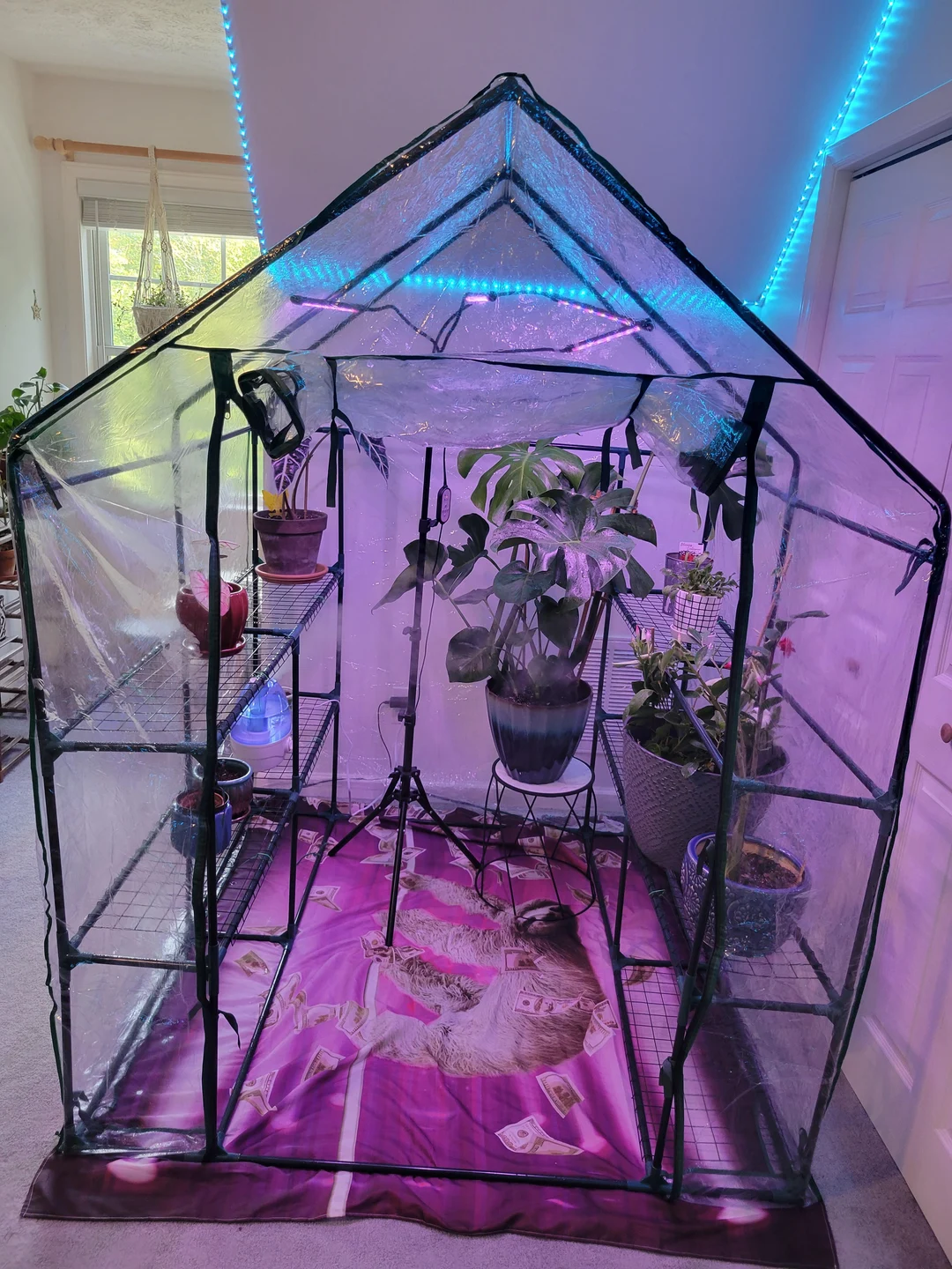 Sloth greenhouse I put together! | Scrolller