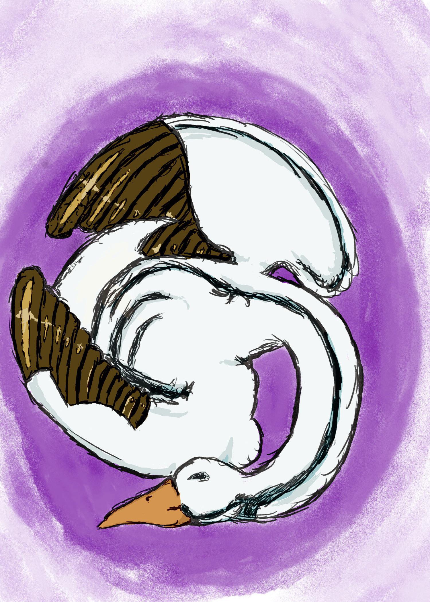 The Snow Goose | Scrolller