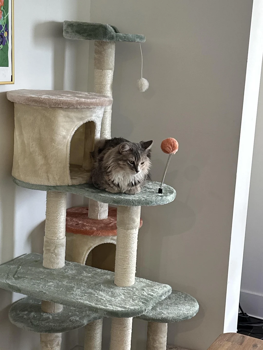 Treehouse loaf | Scrolller