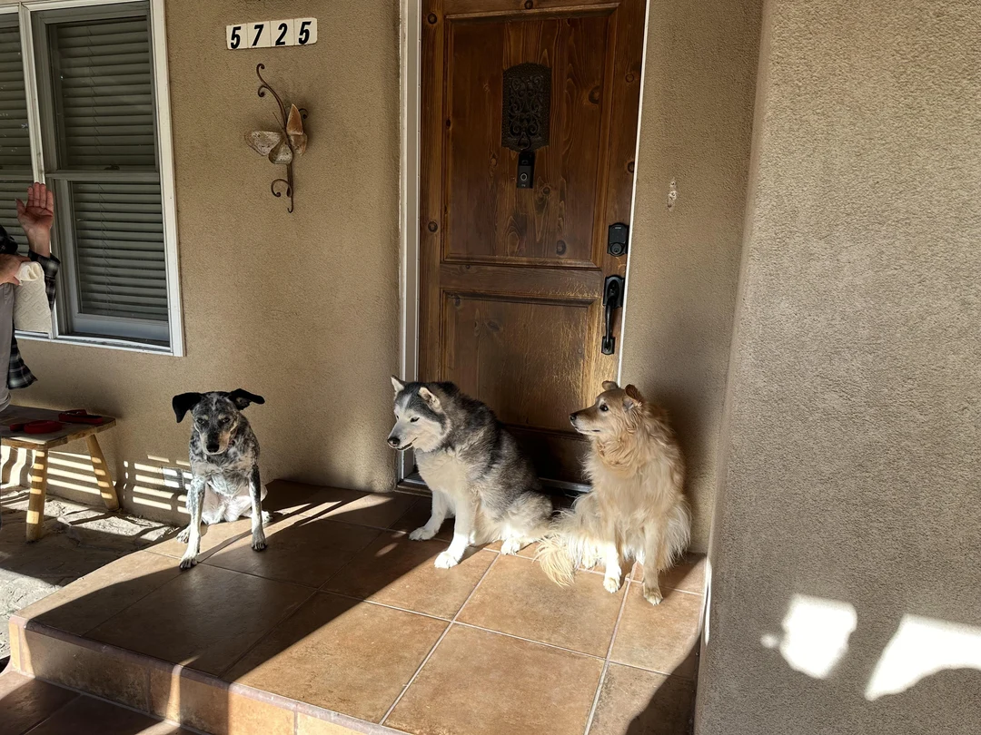 Leader of the pack at 14 years old... | Scrolller