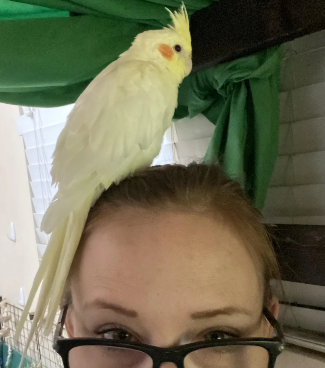 Moments before disaster | Scrolller