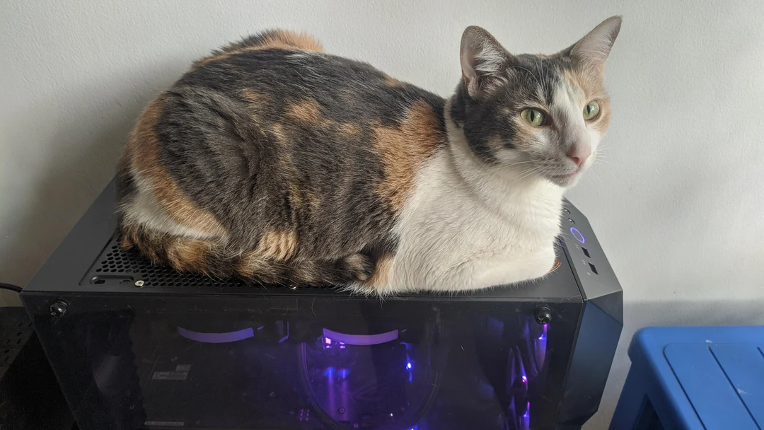 Computer loaf | Scrolller