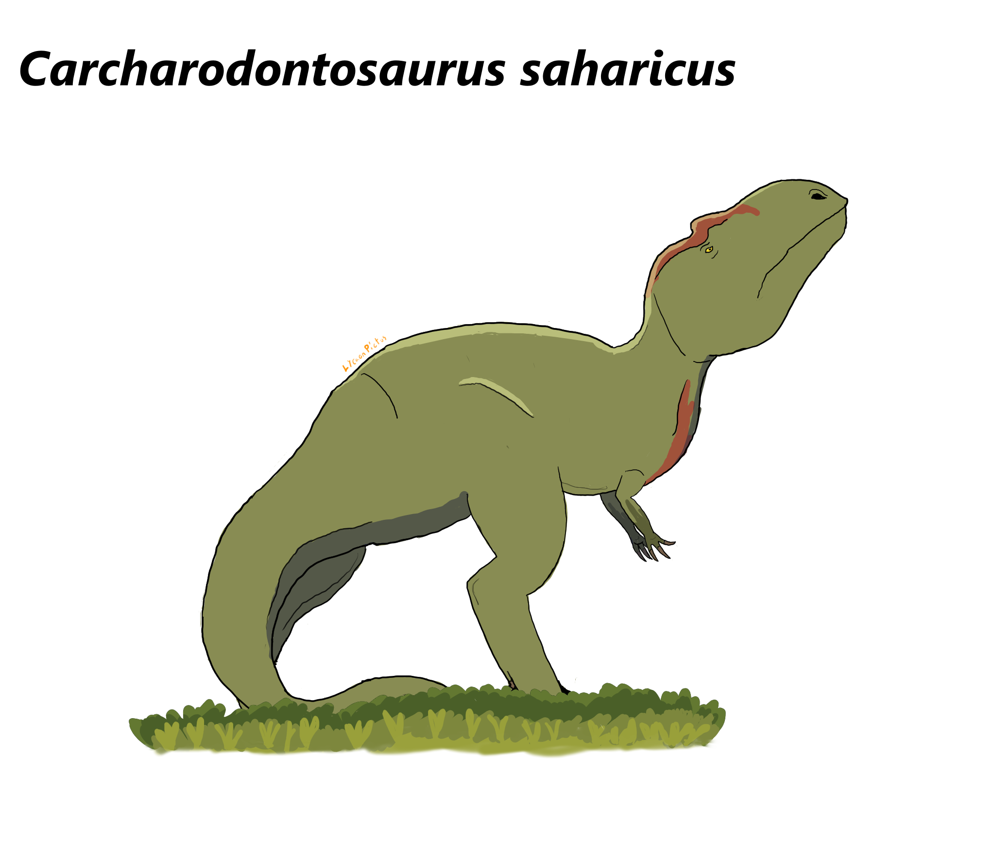 Carcharodontosaurus saharicus | Scrolller