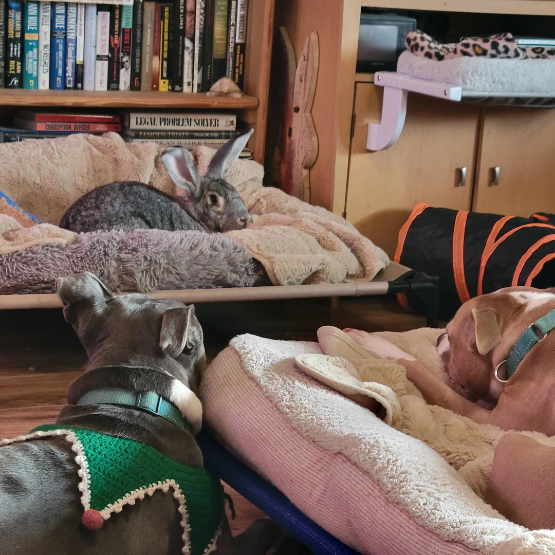 My Turn! | Scrolller