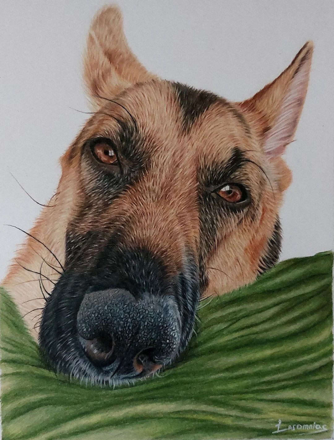 Barbara, Me, colored pencils, 2023 | Scrolller