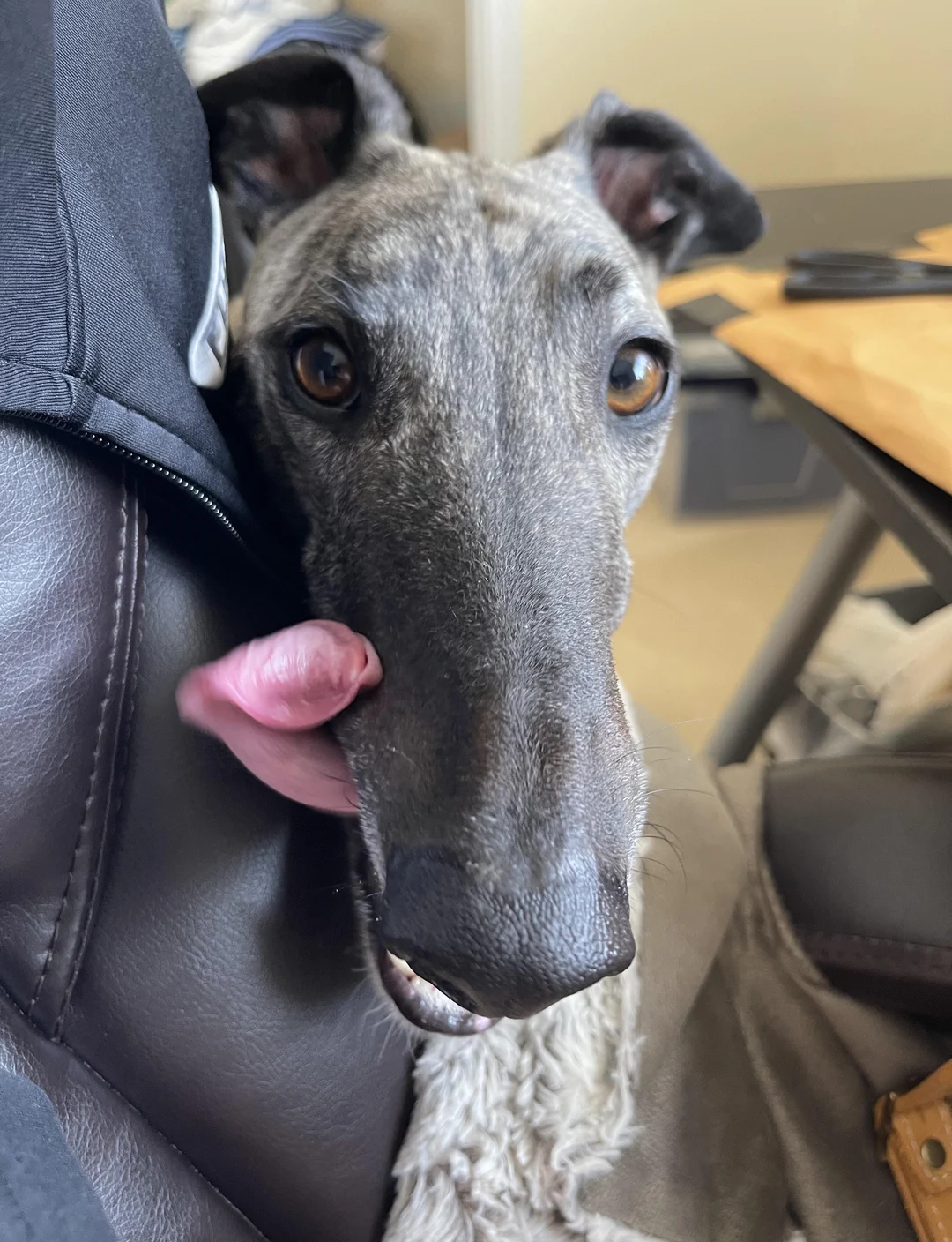 Snacks? You have snacks? Snacks you say? Do I smell snacks? I think I ...