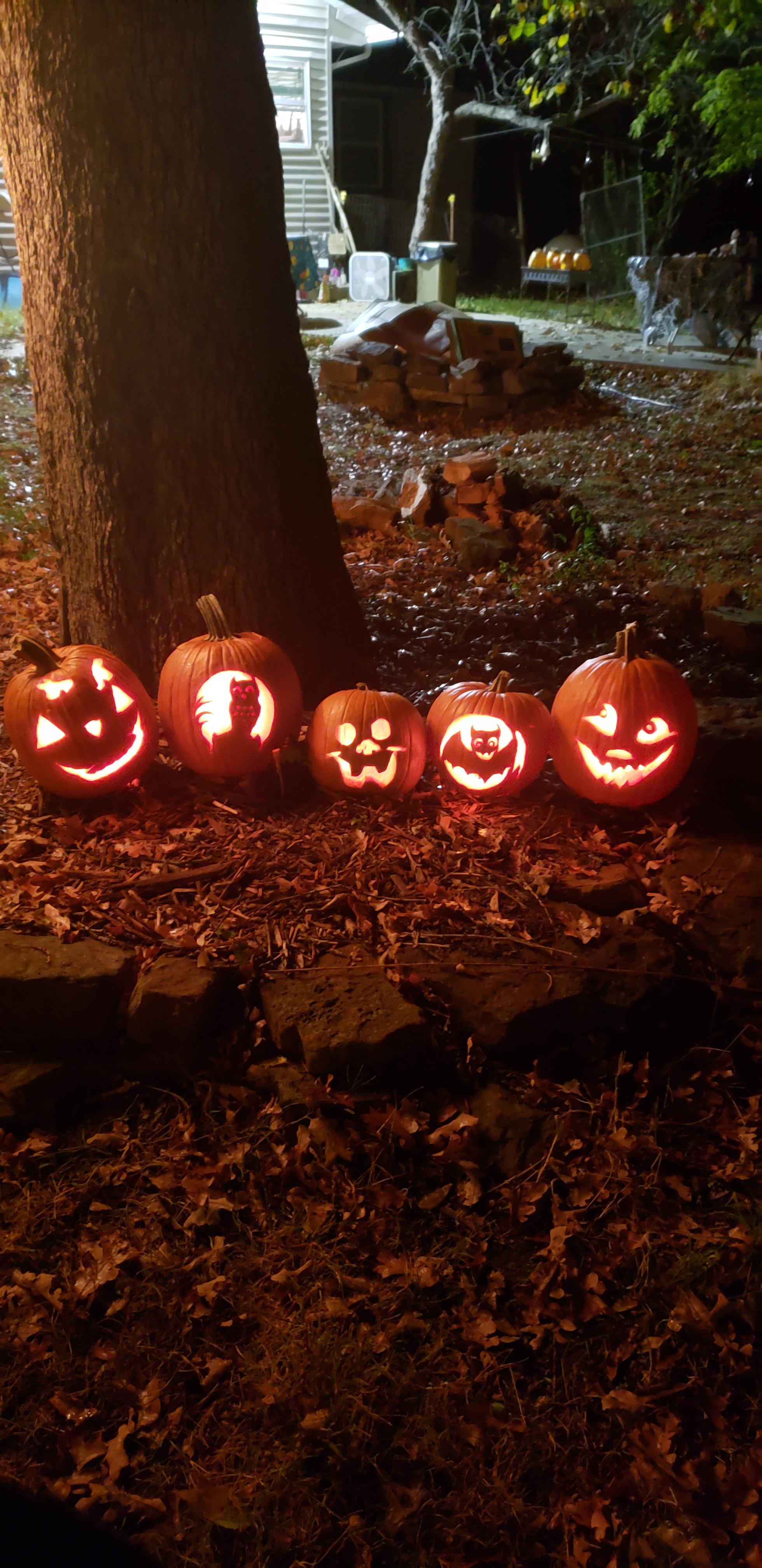 Pumpkins 🎃 | Scrolller