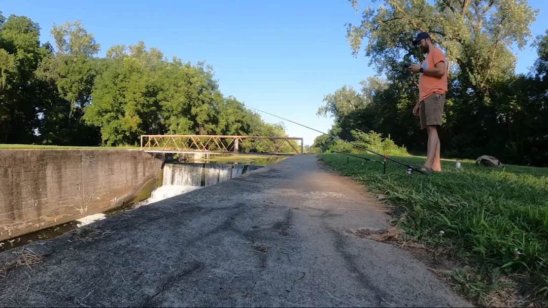 Carp steals my fishing Rod! | Scrolller