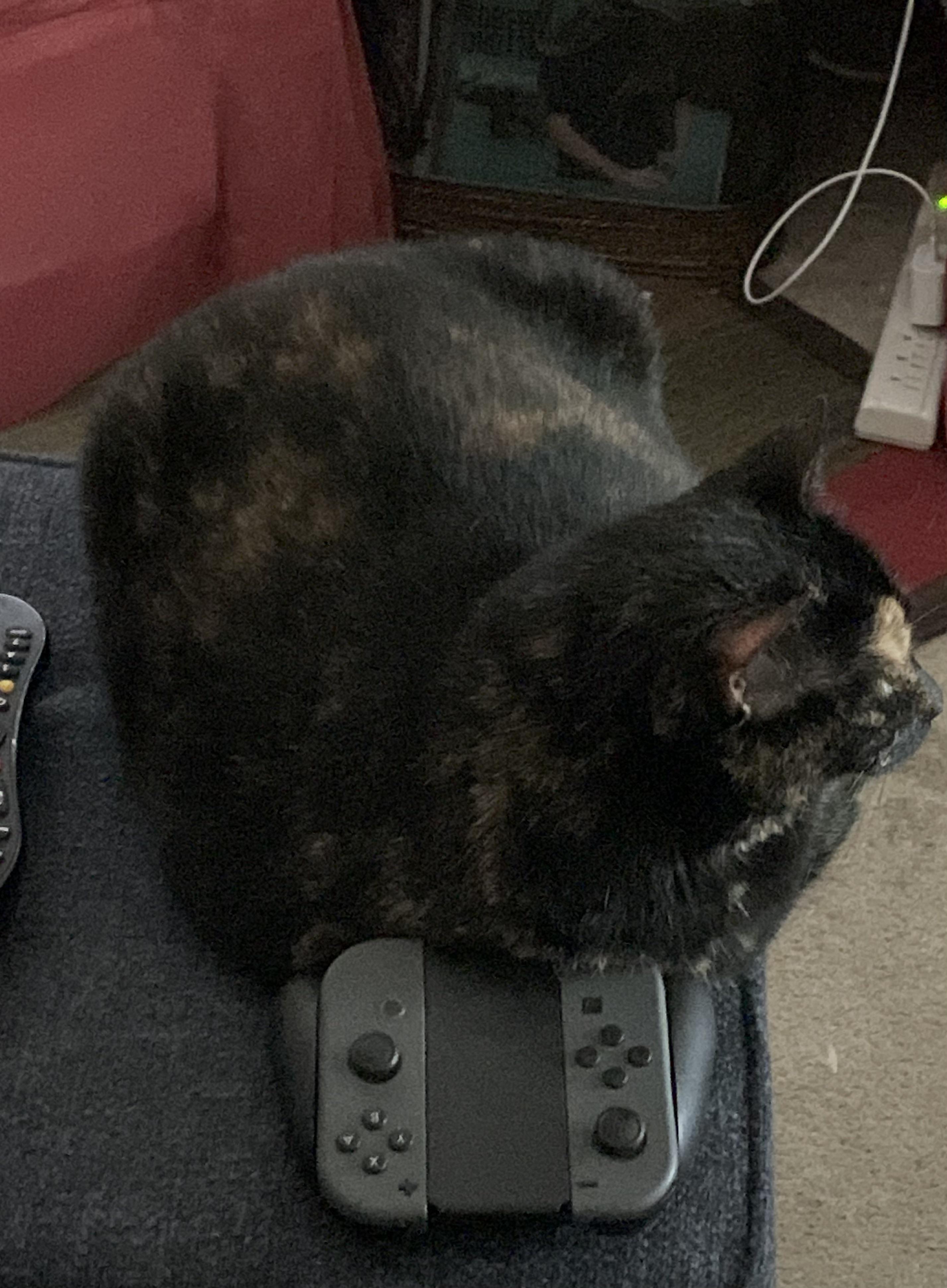 Gaming loaf | Scrolller