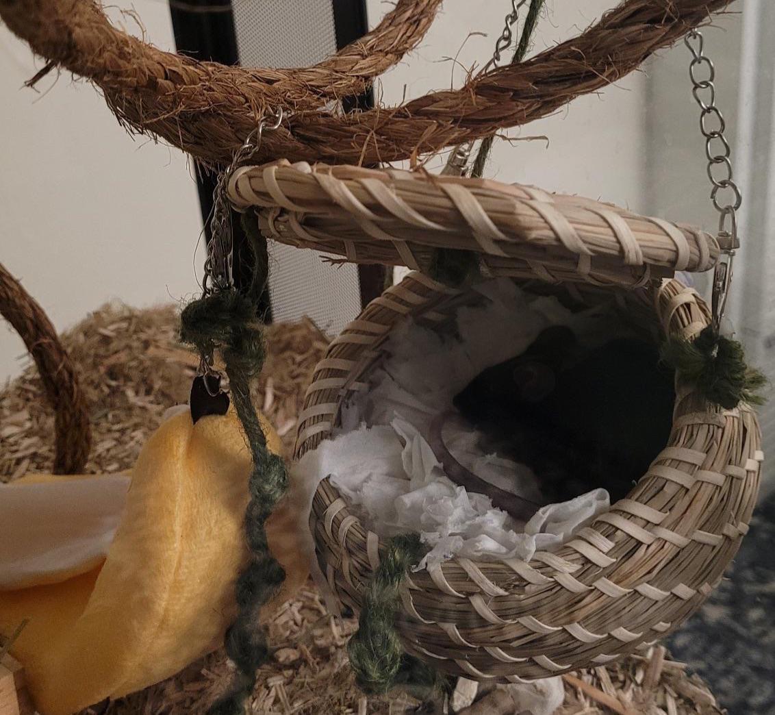 She loves her basket | Scrolller