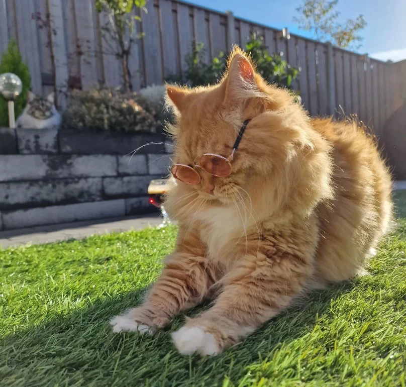 No doubt he is an amazing poser | Scrolller